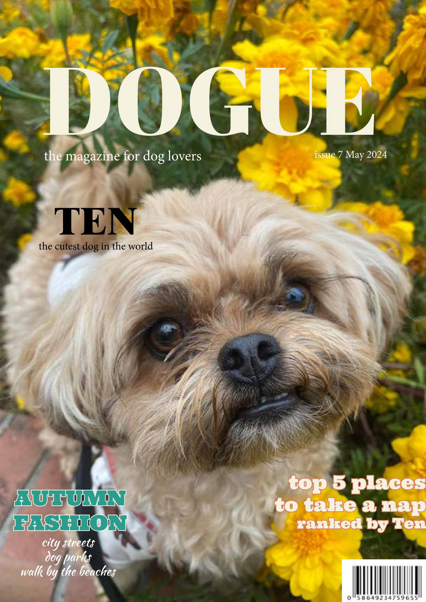 Magazine portfolio COM109 by dogue_ten - Issuu