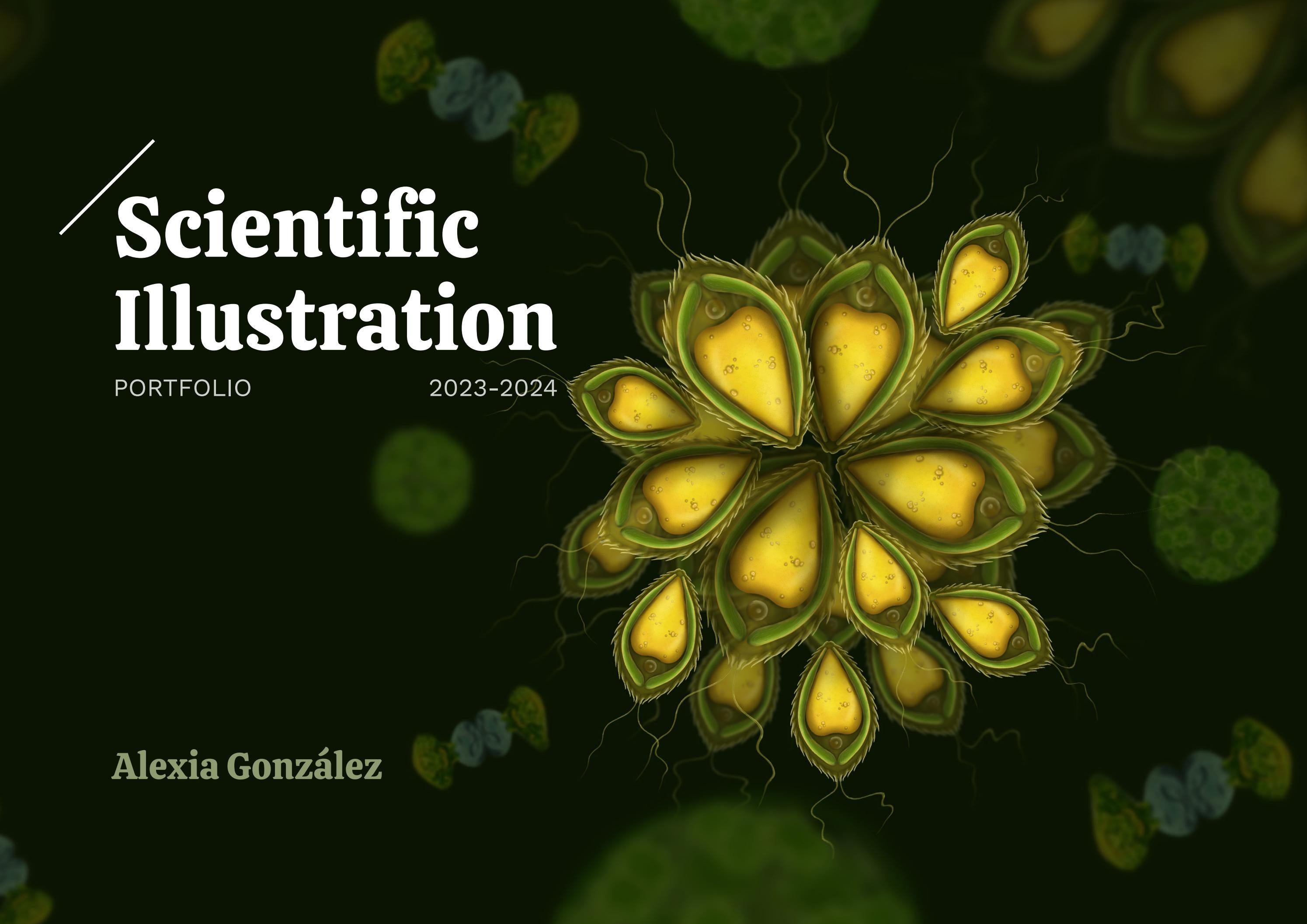 SCIENTIFIC ILLUSTRATION PORTFOLIO 2023-24 by Alexia González - Issuu