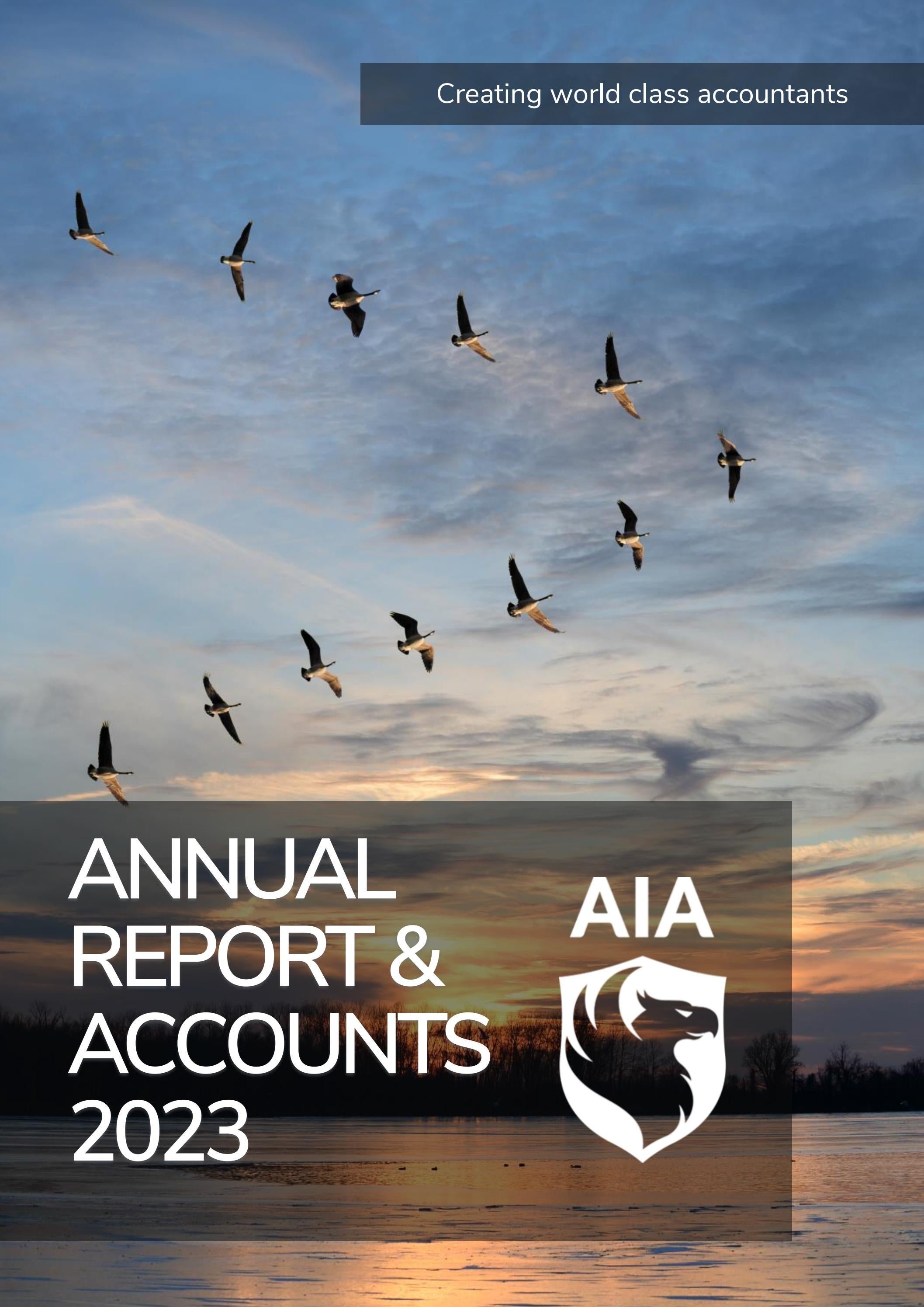 AIA Annual Report and Accounts by Association of International ...