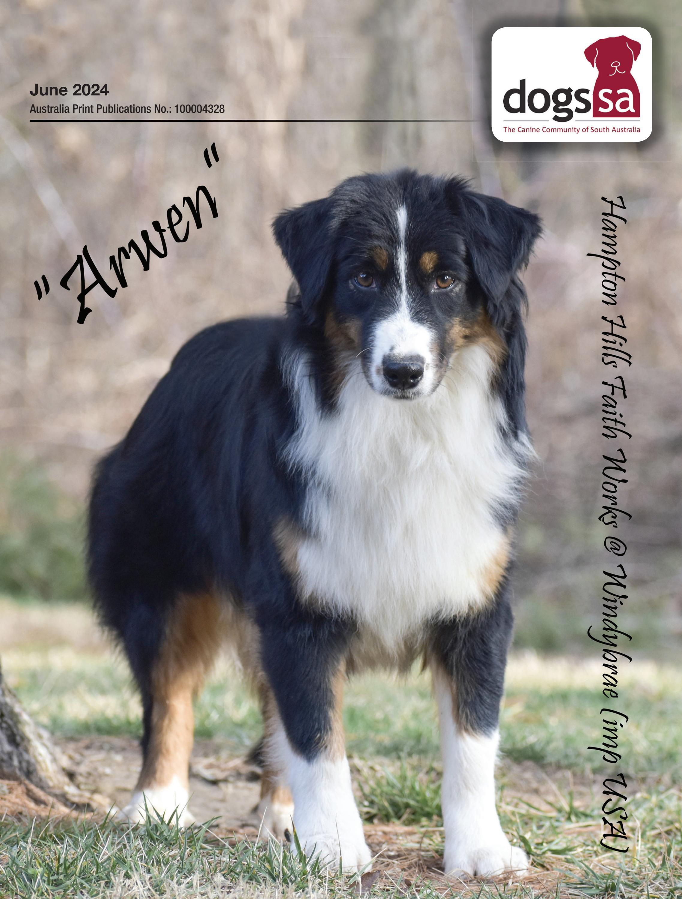 2024 Dogs SA June magazine by Dogs SA - Issuu