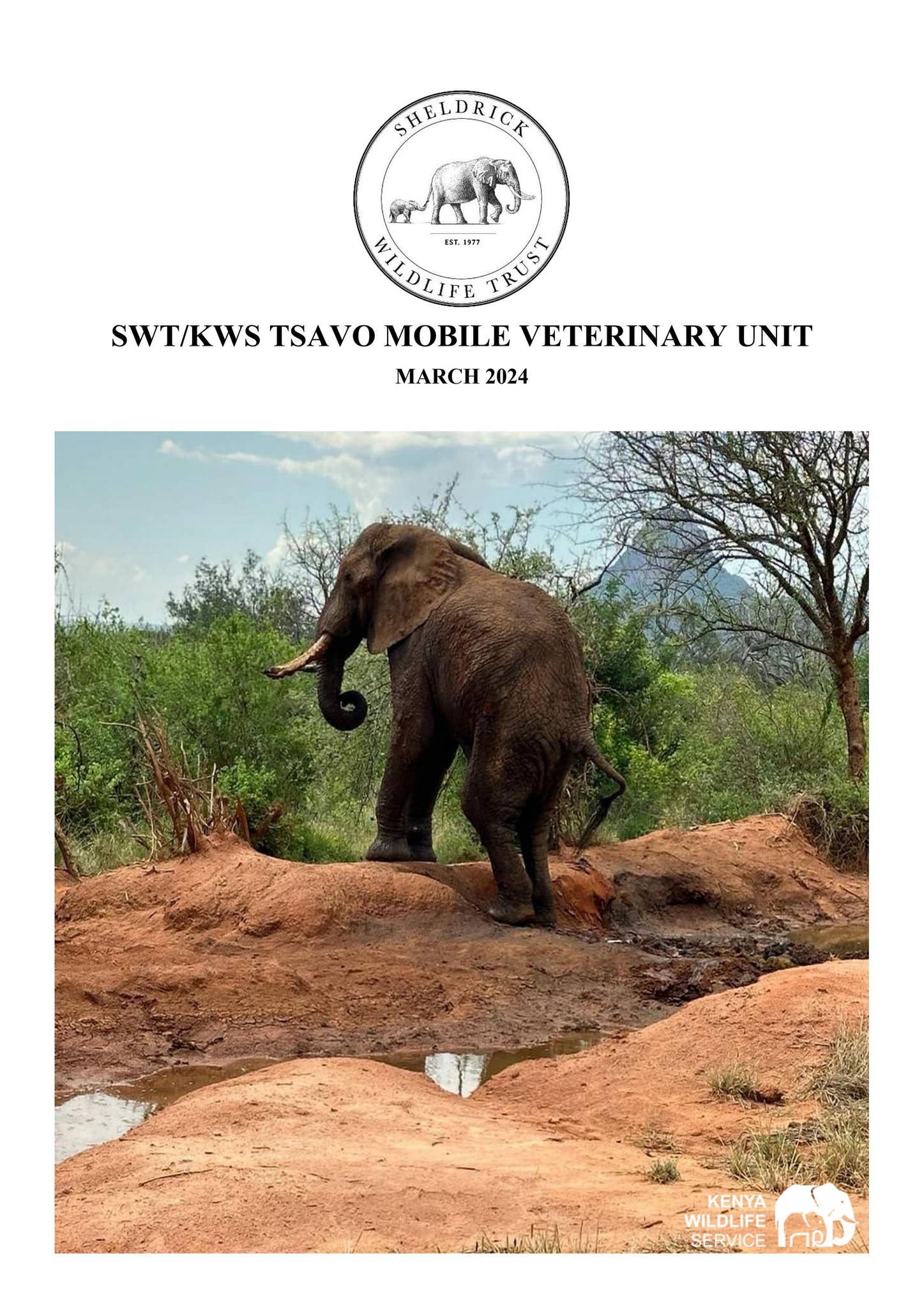 SWT/KWS Tsavo Mobile Veterinary Report for March 2024 by Sheldrick ...