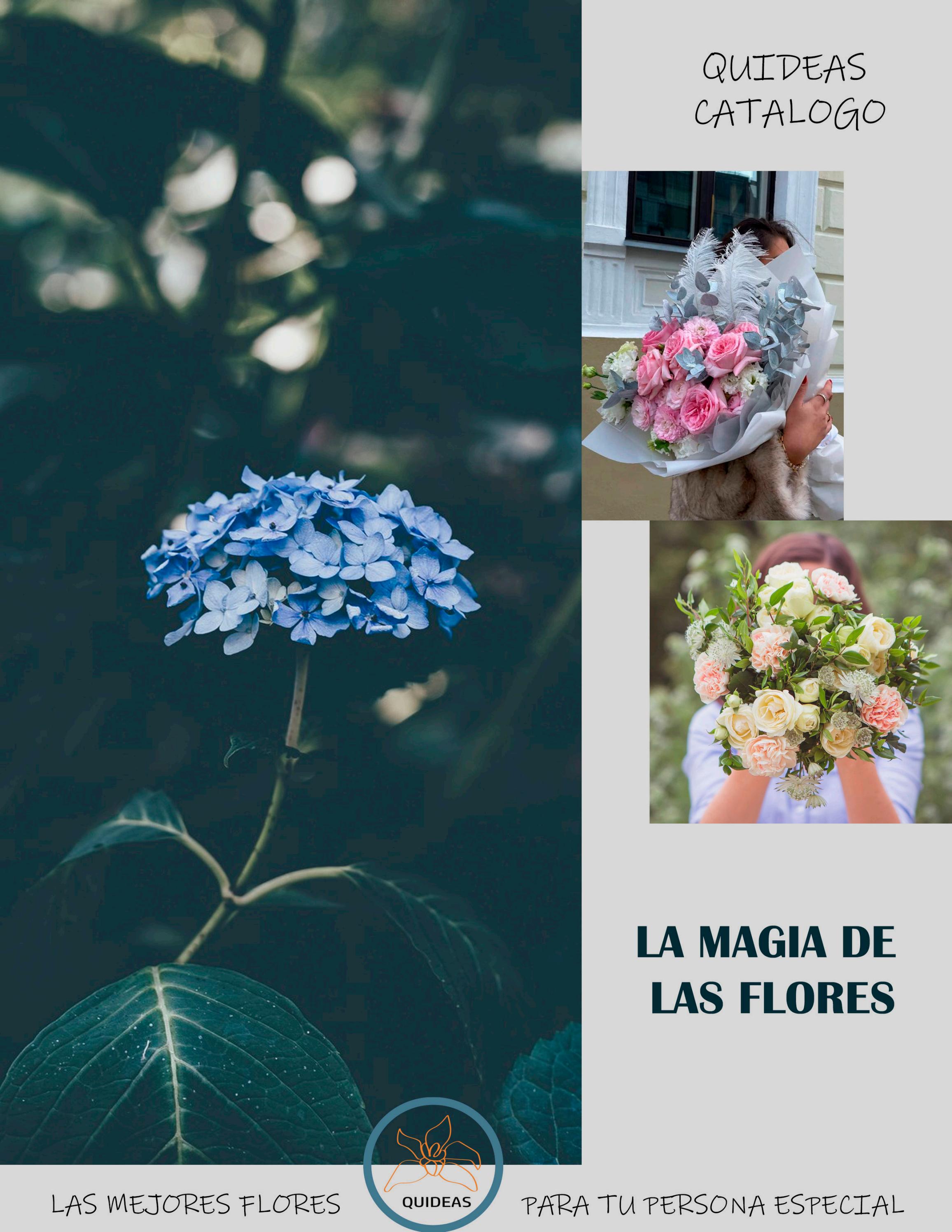 Catalogo QUIDEAS by Sonia Alexandra Mercado Alfaro - Issuu