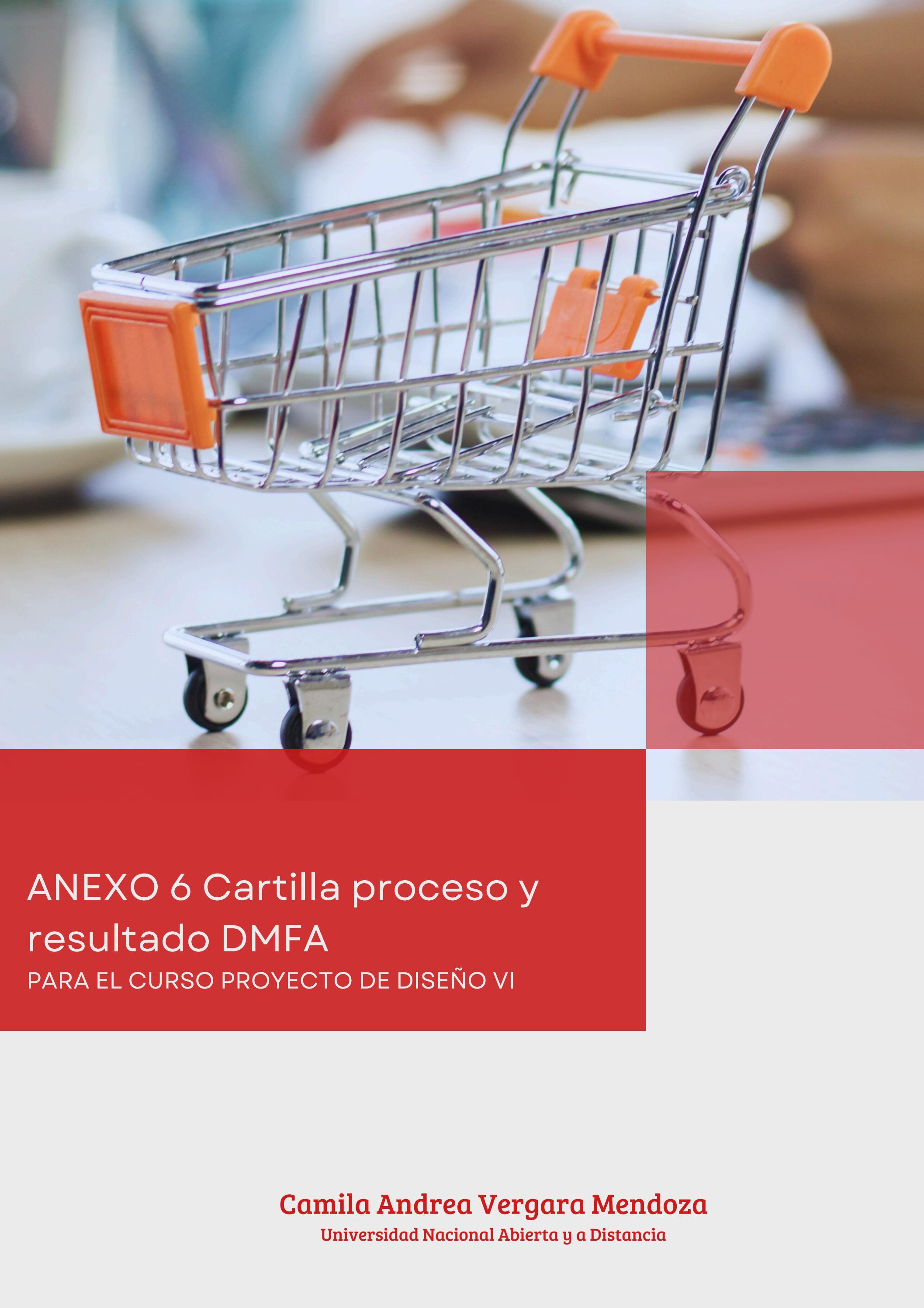 Cartilla proceso y resultado DMFA by camila vergara - Issuu