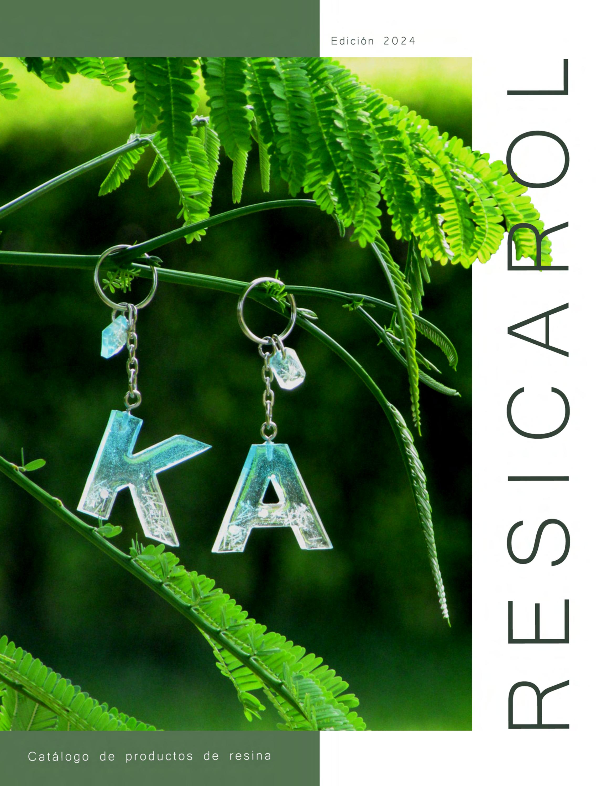 Resicarol by Josue Vladimir Cruz Avila - Issuu