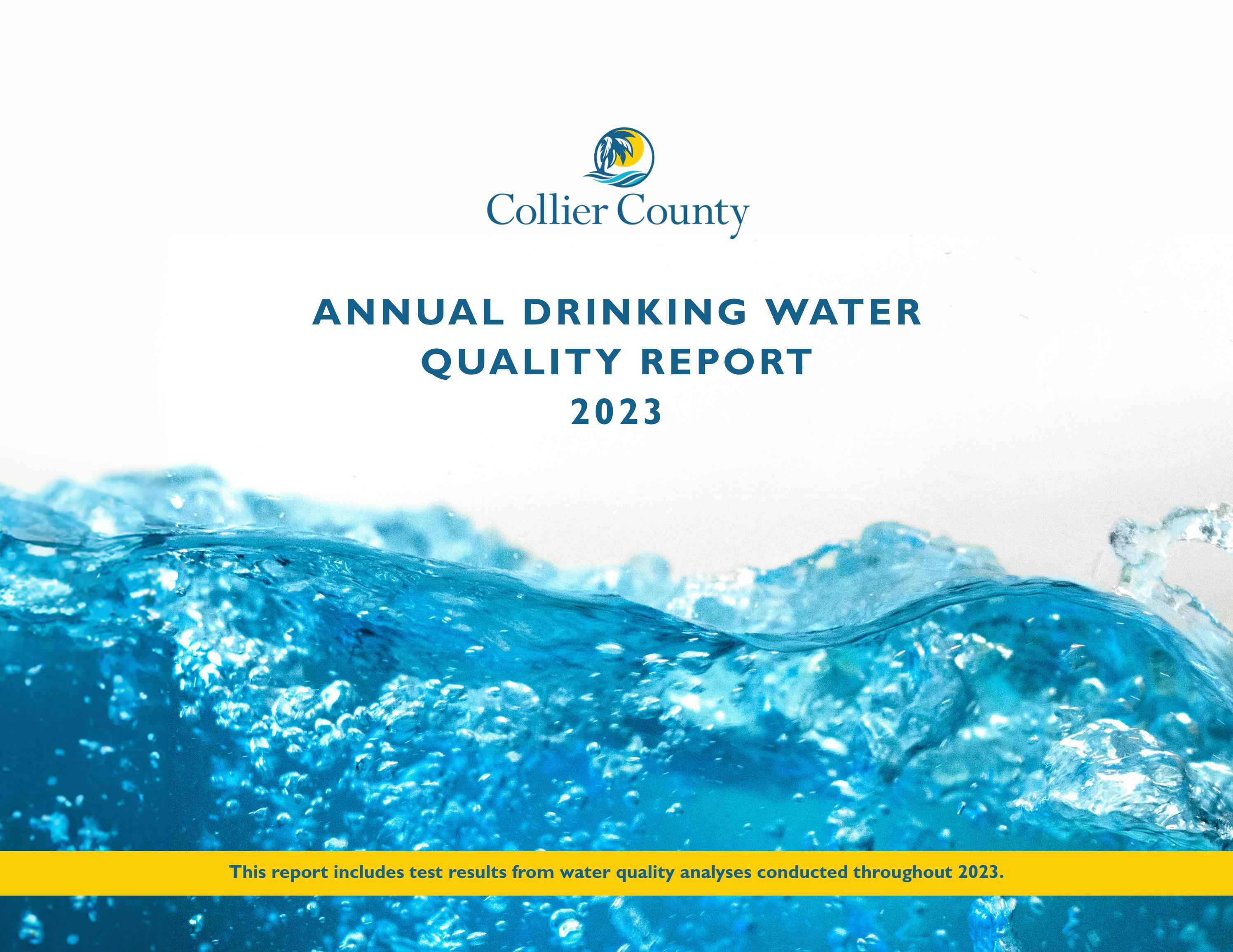 Annual Drinking Water Quality Report by evelynlonga - Issuu