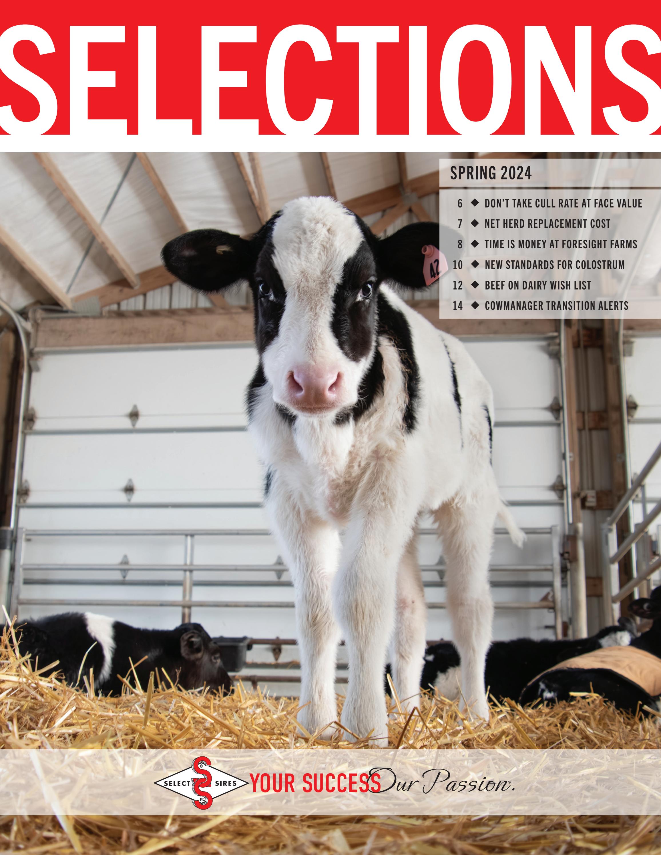 Selections | Spring 2024 by Select Sires - Issuu