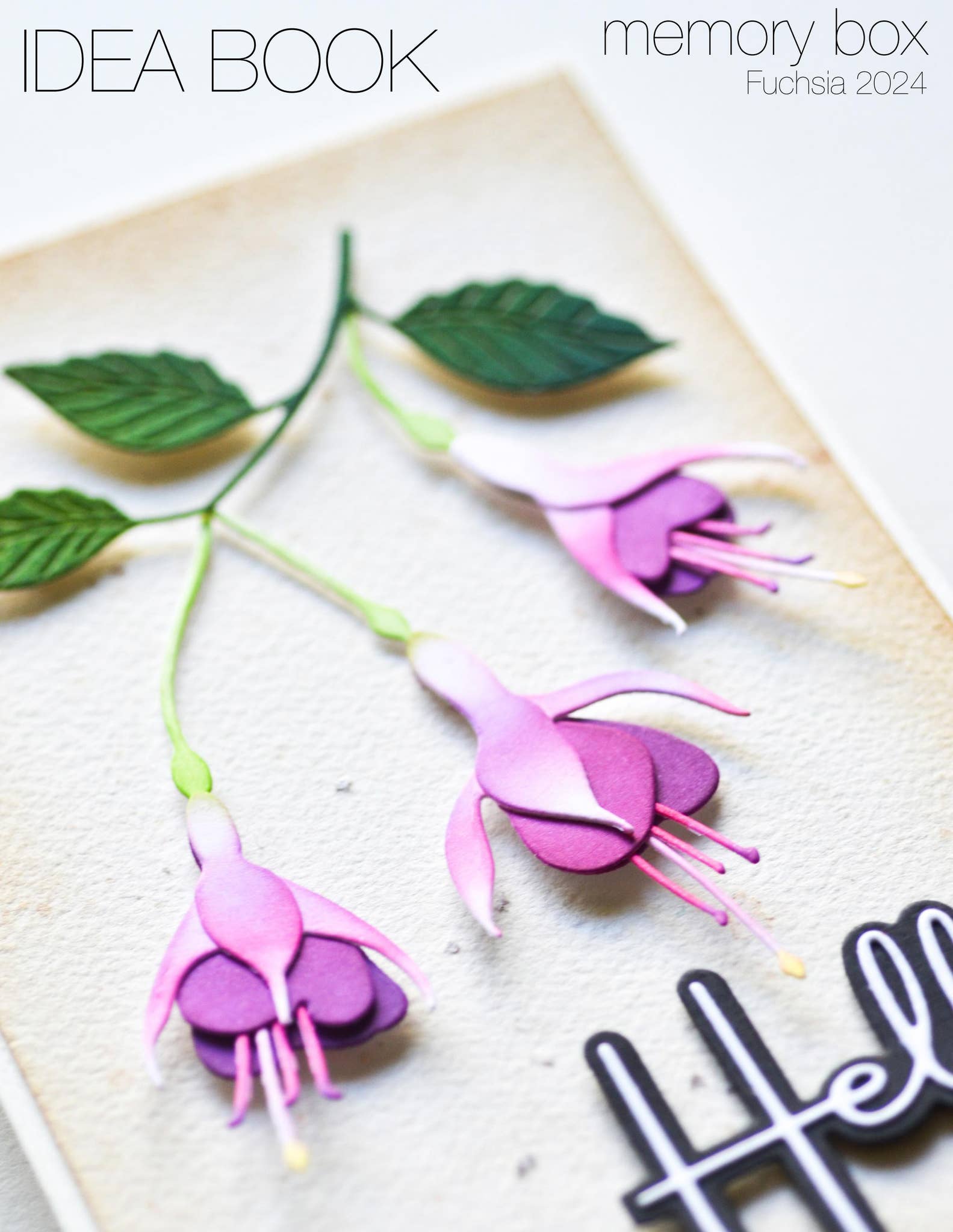 2024 June Memory Box Fuchsia Idea Book by MemoryBoxInc - Issuu