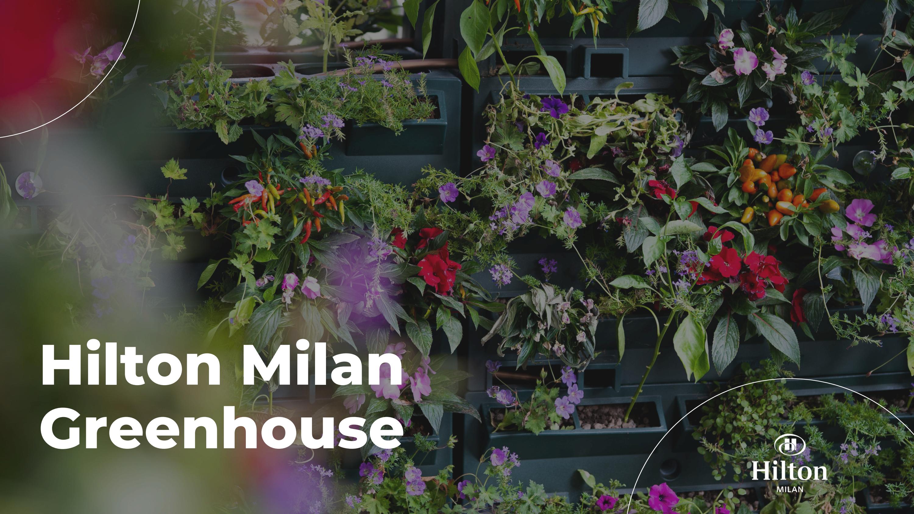 GreenHouse proposal by HiltonMilan - Issuu