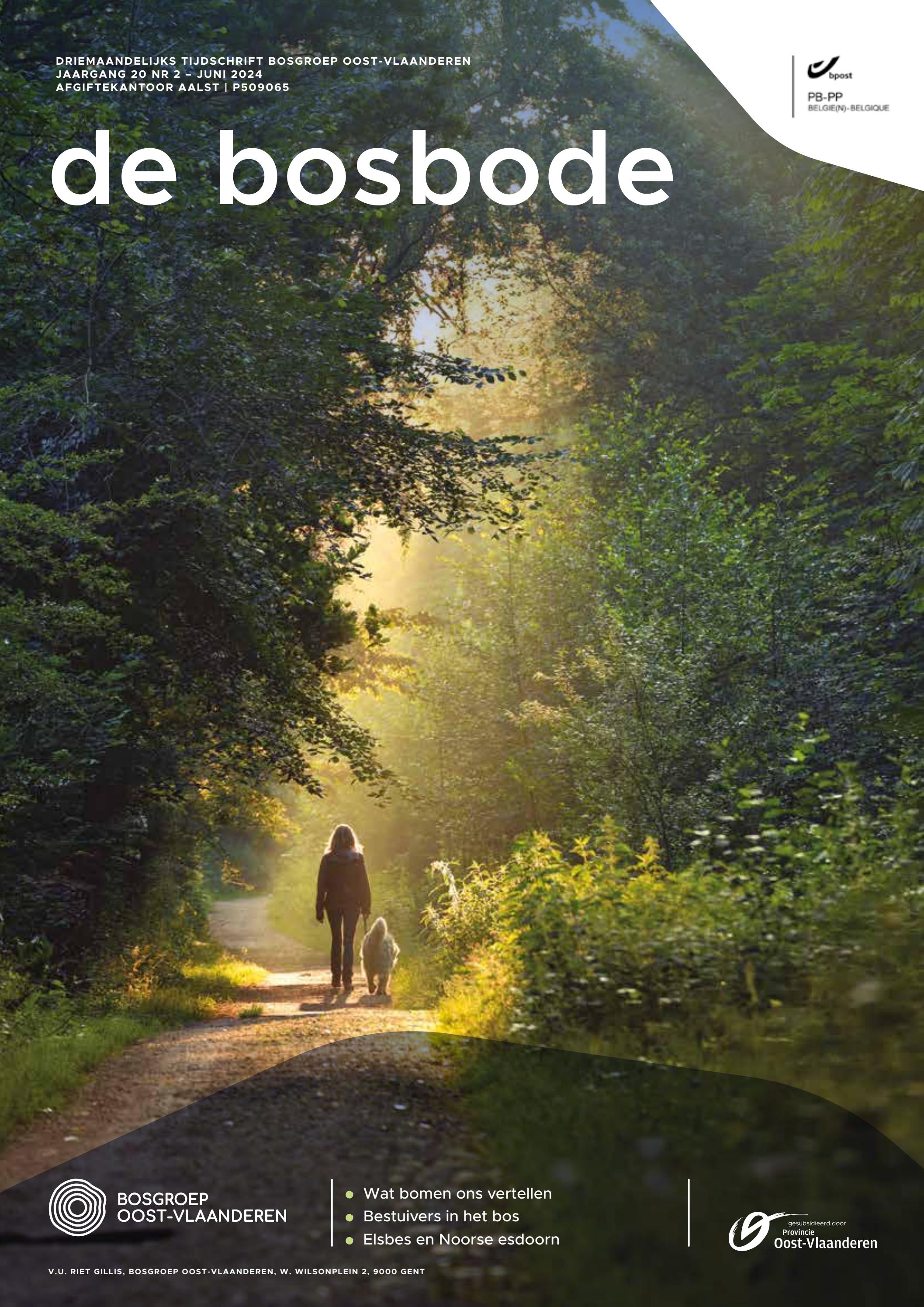 de bosbode 2024-2 by De Bosgroepen - Issuu
