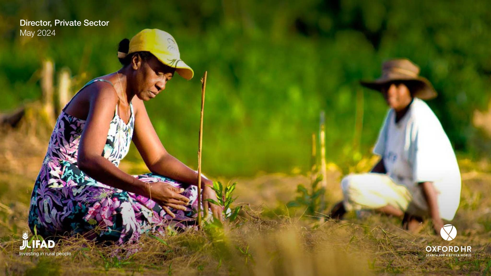 IFAD – Director, Private Sector by Oxford HR - Issuu