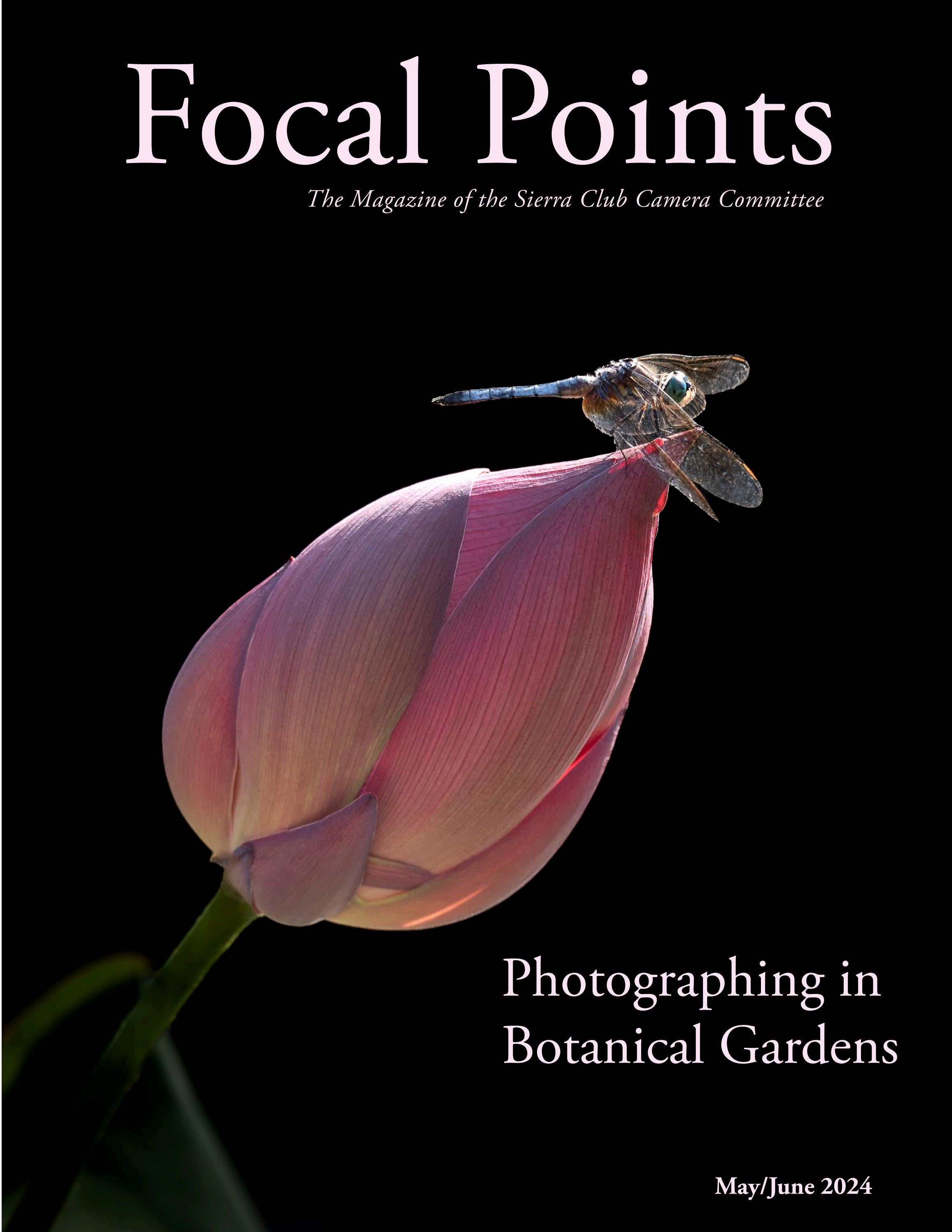 Focal Points Magazine May/June 2024 by John Nilsson - Issuu