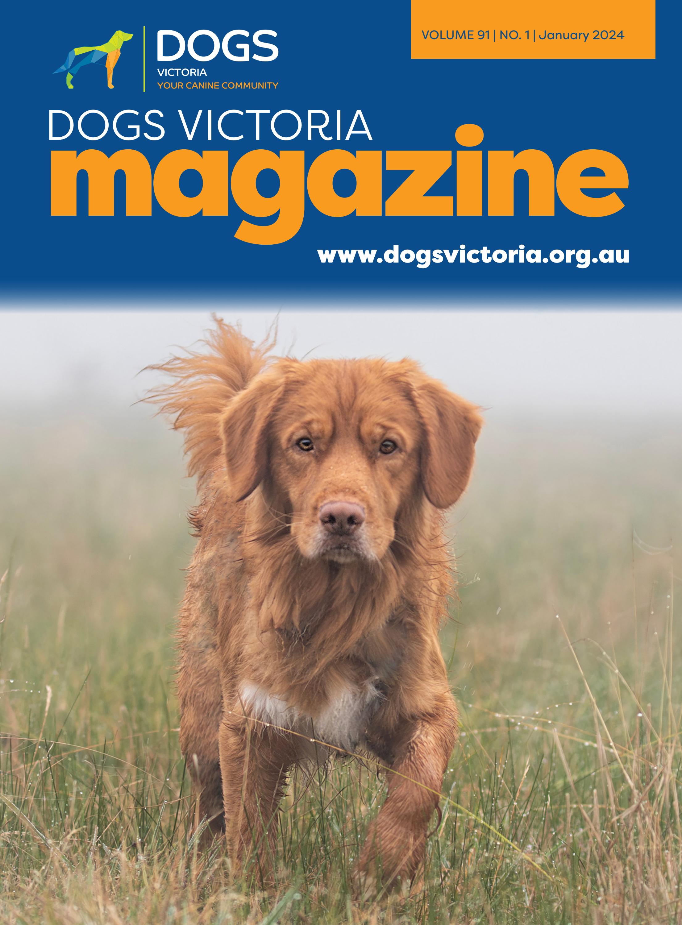 January Magazine 2024 by Dogs Victoria - Issuu