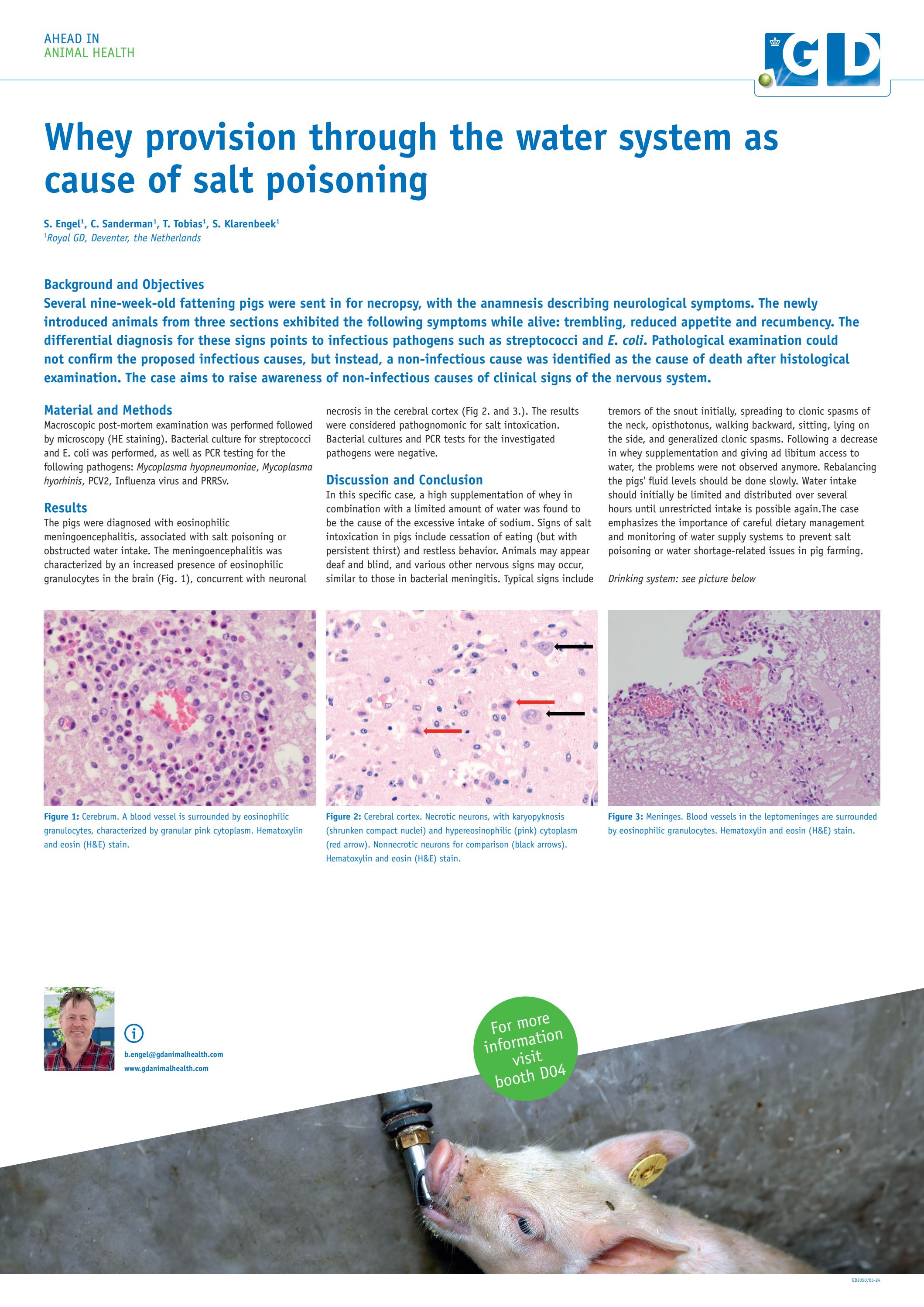 Whey provision through the water system as cause of salt poisoning by ...