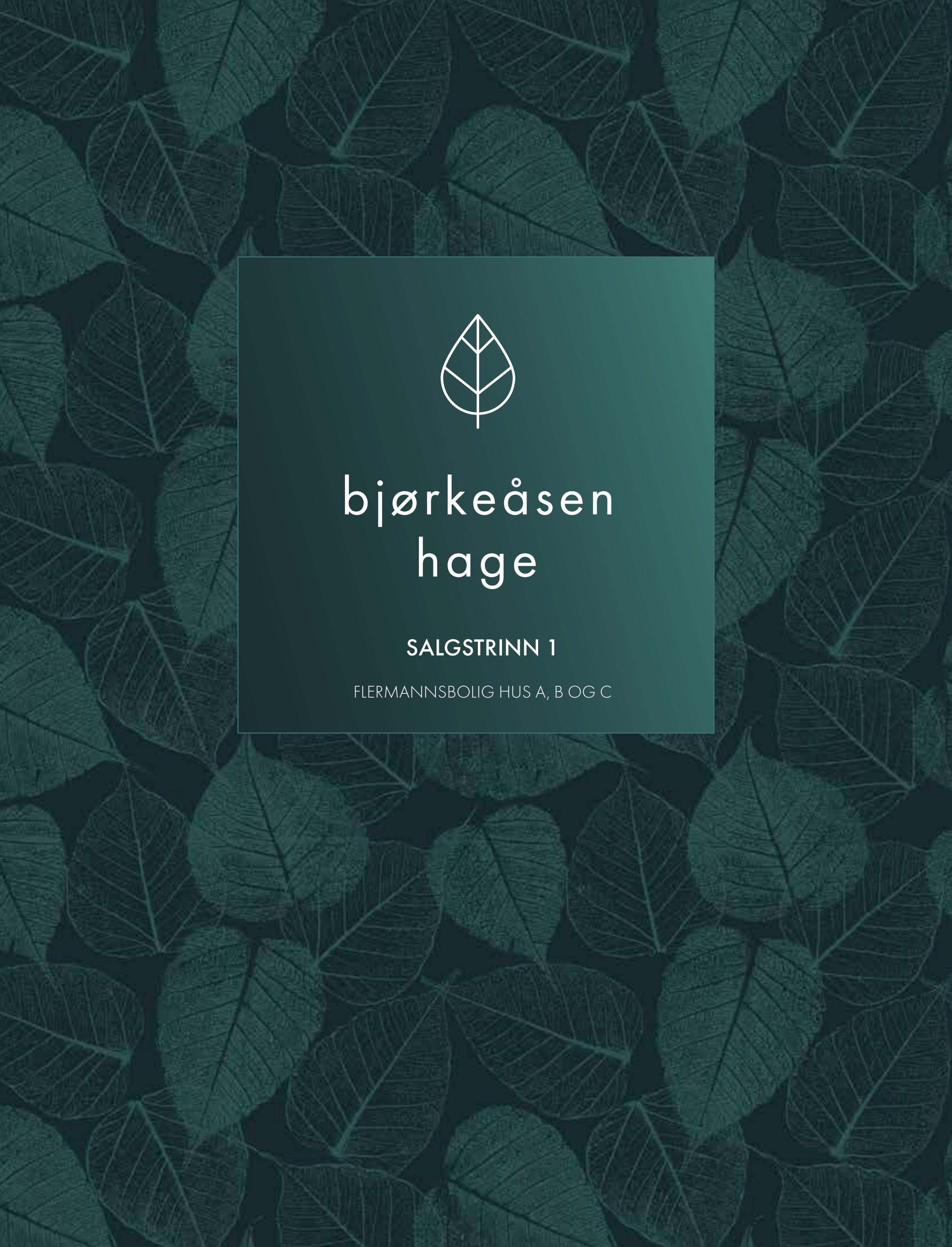 Bjørkeåsen hage hus A, B og C by Bakke AS - Issuu