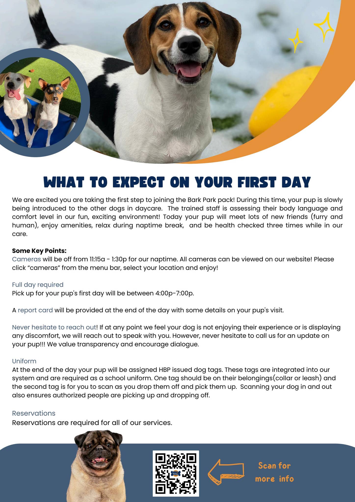 Welcome to the Pack! - Heights locations by Houston Bark Park and ...