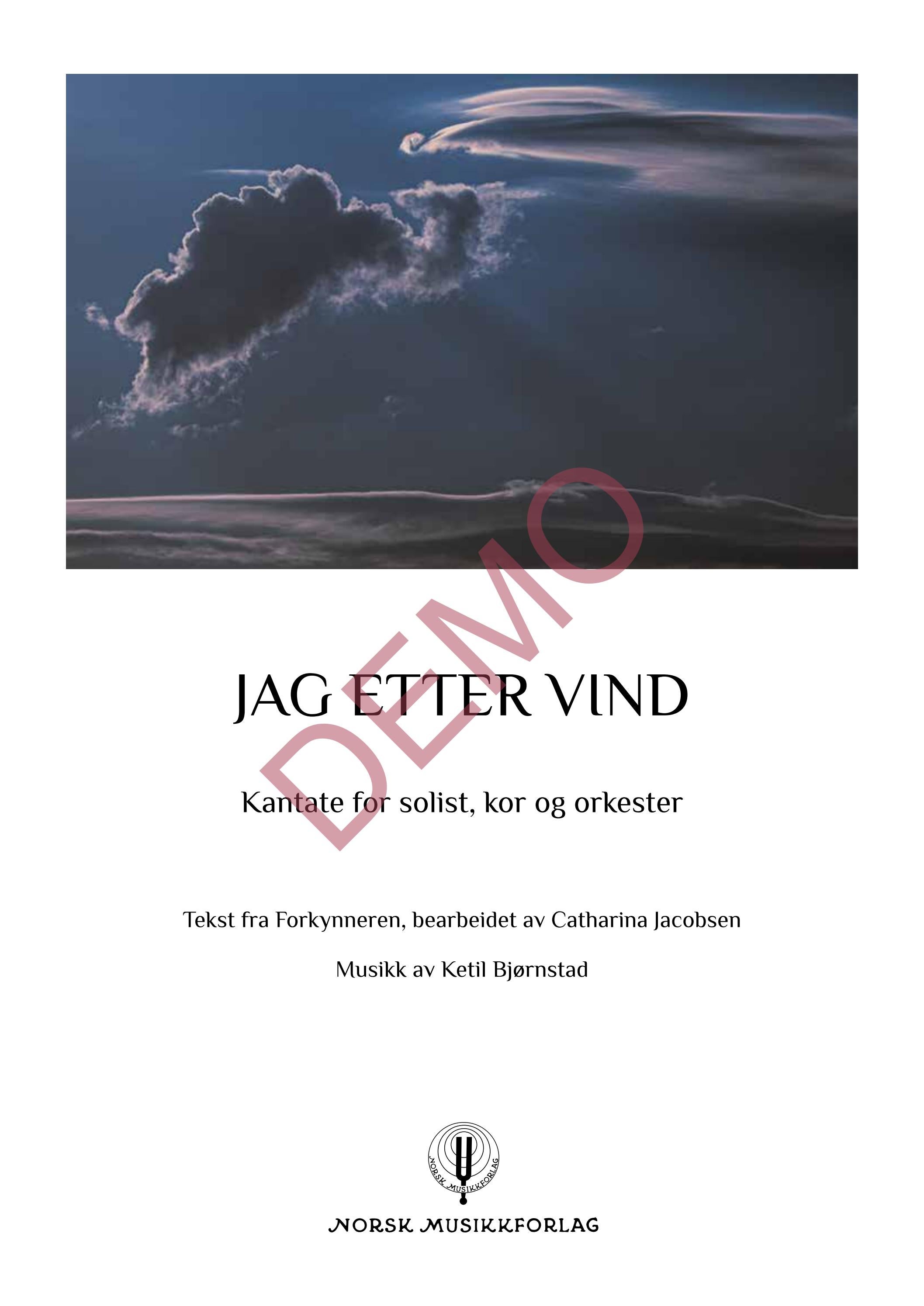 KETIL BJØRNSTAD: Jag etter vind by Musikkforlagene - Issuu