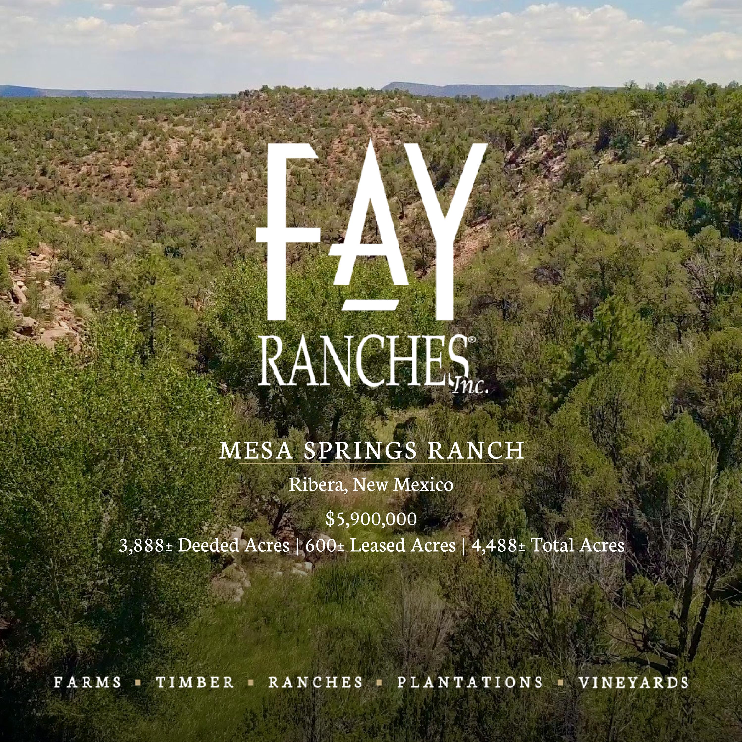 Mesa Springs Ranch | Fay Ranches by Fay Ranches - Issuu