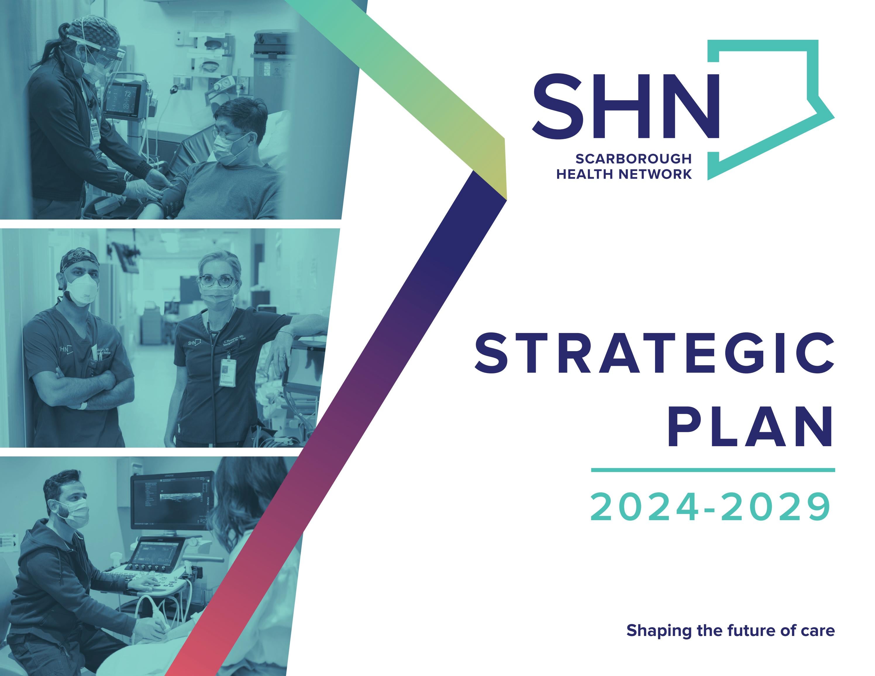 SHN Strategic Plan 2024-2029 by shncares - Issuu