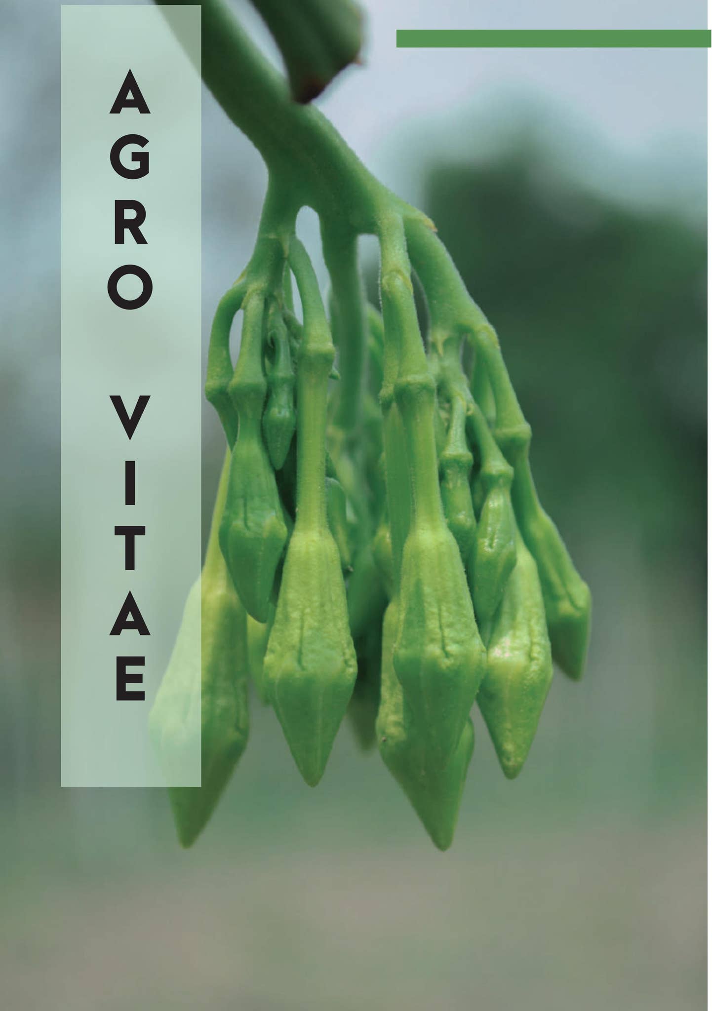 AGRO-VITAE by BILLY BENJAMIN HENRIQUEZ VEGA - Issuu