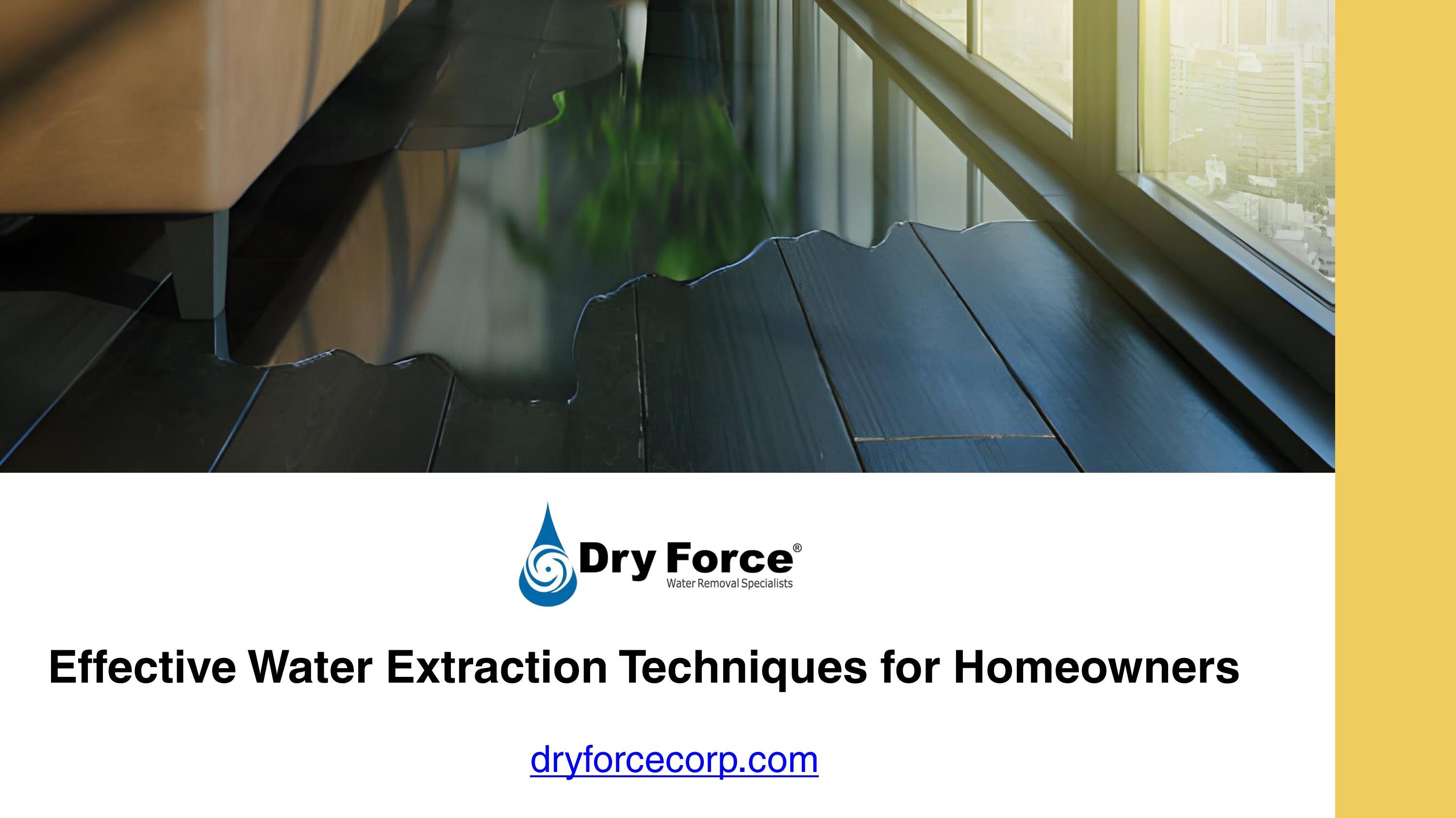 Effective Water Extraction Techniques for Homeowners by Dry Force - Issuu