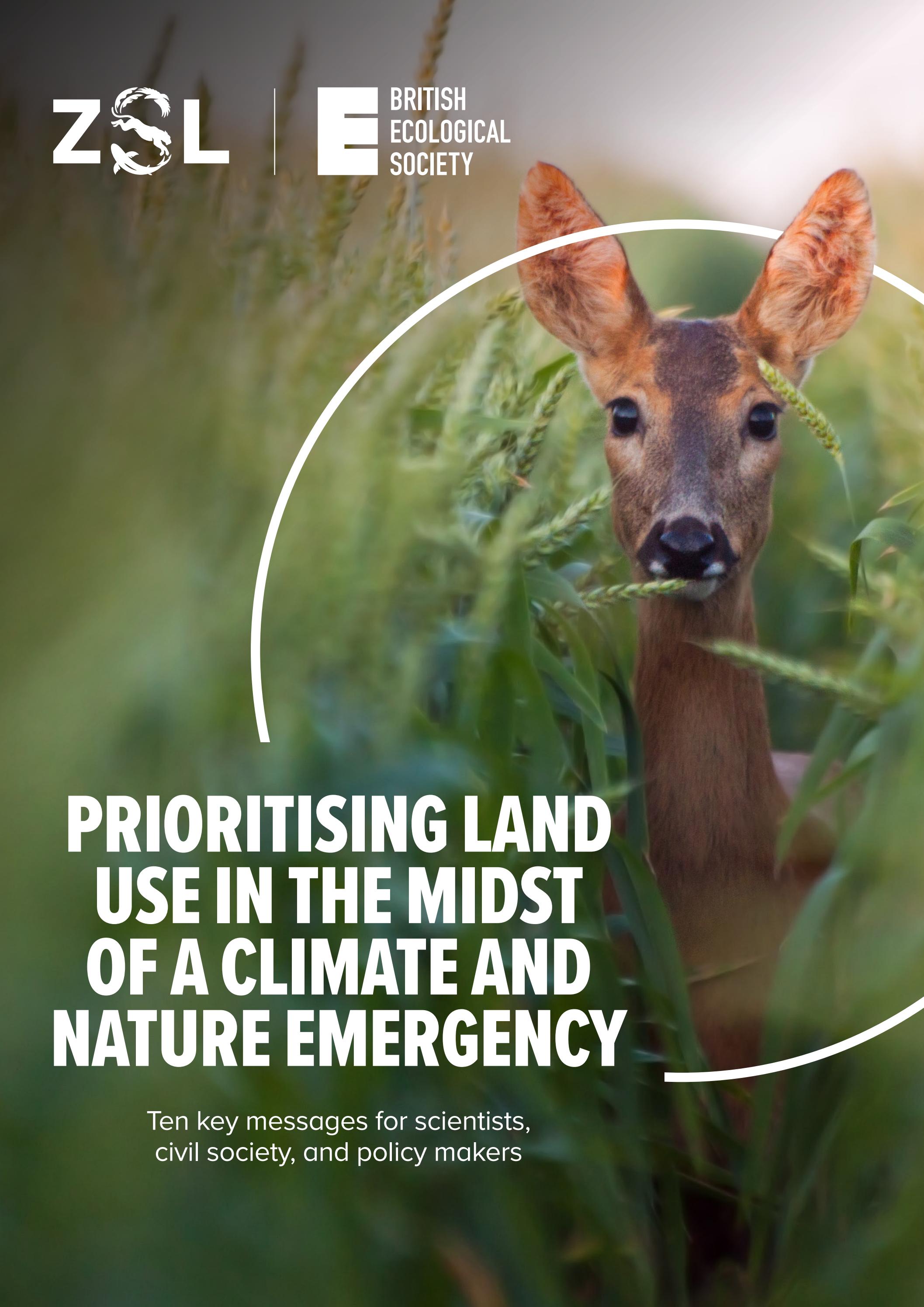 Prioritising land use in the midst of a climate and nature emergency by ...