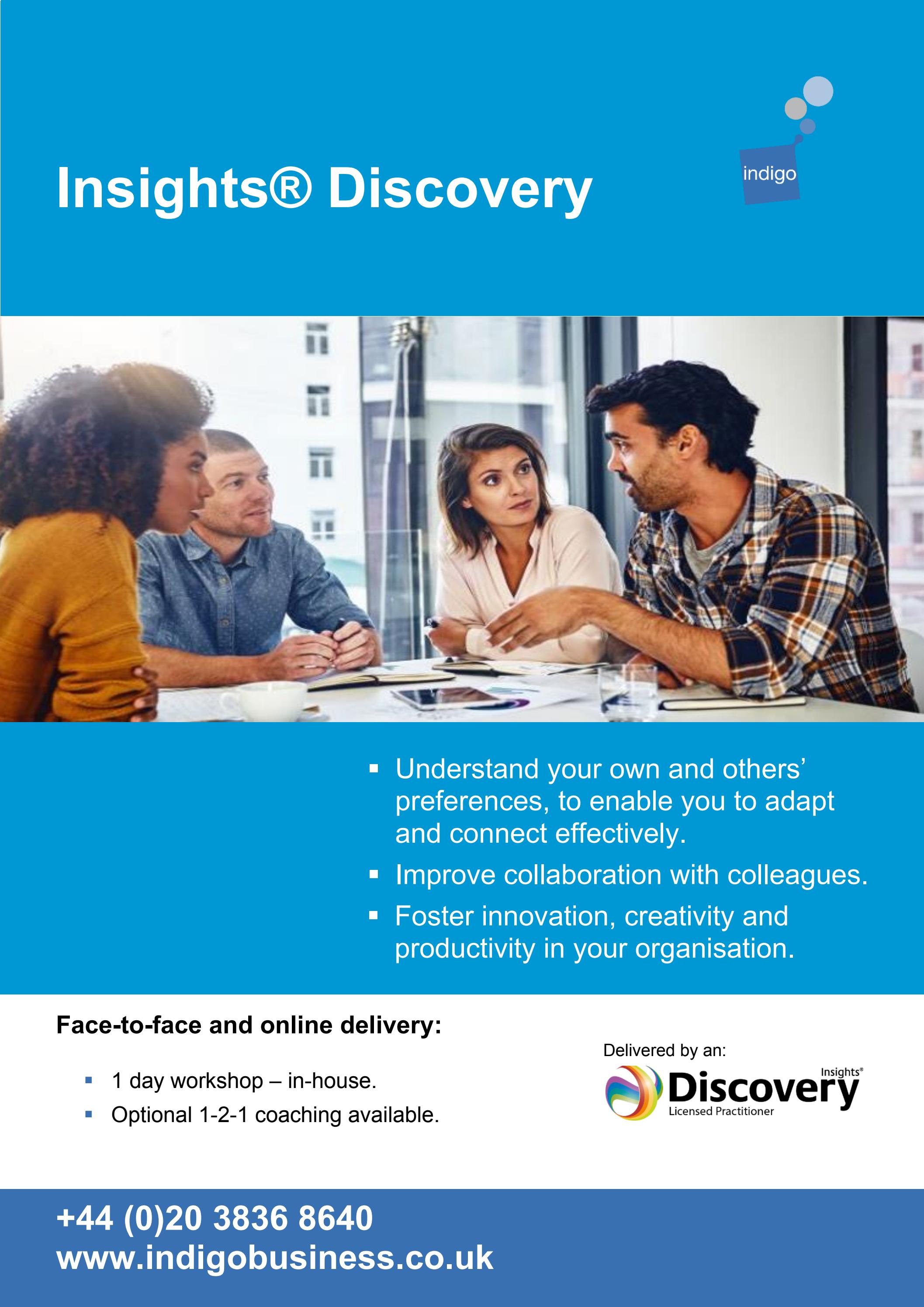 Insights® Discovery workshop brochure by Indigo Business Services Ltd ...