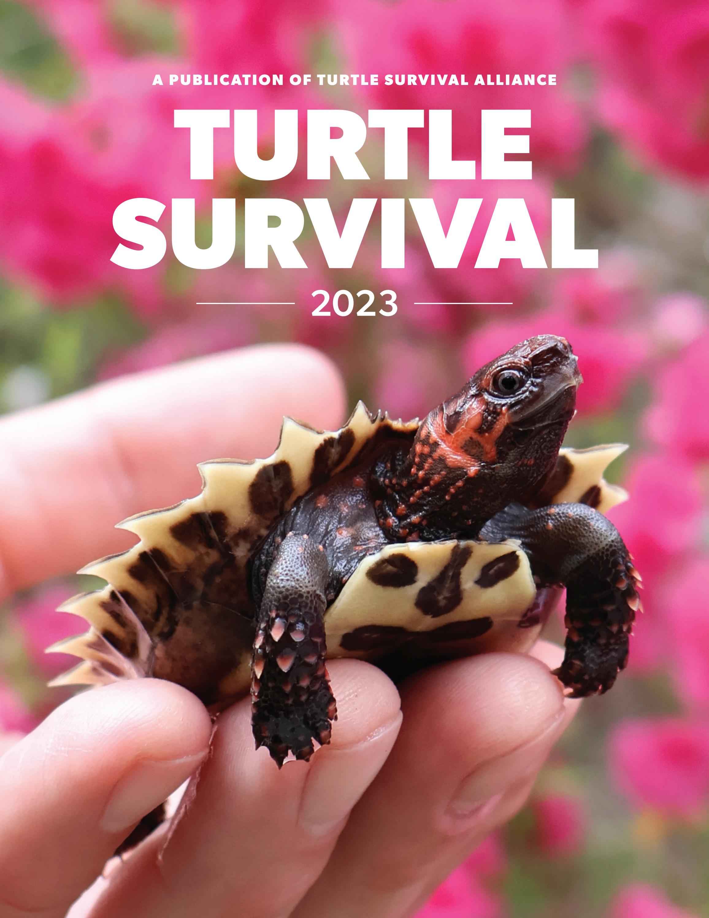 PREVIEW - 2023 Turtle Survival by Turtle Survival Alliance - Issuu