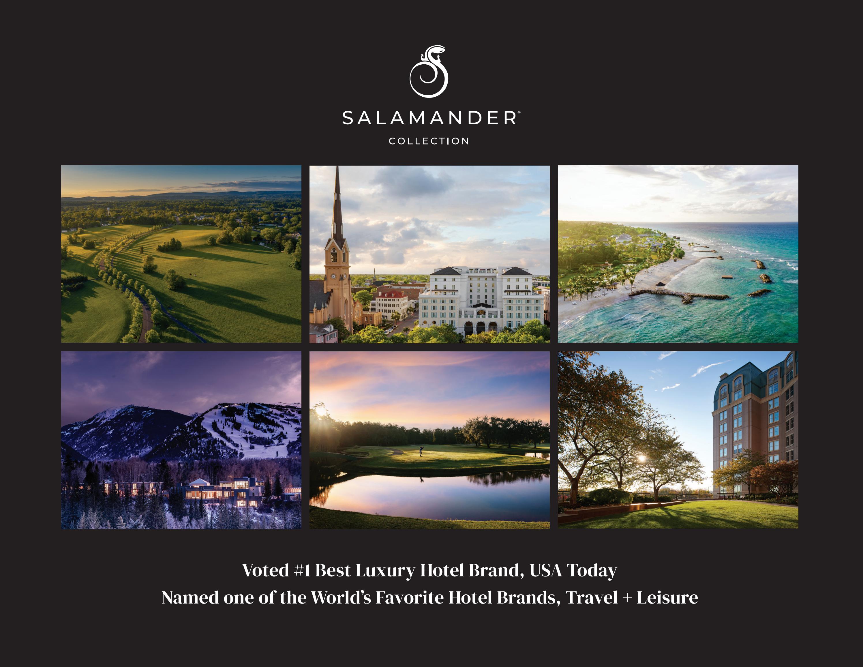 Salamander Collection Brochure by Salamander Collection - Issuu