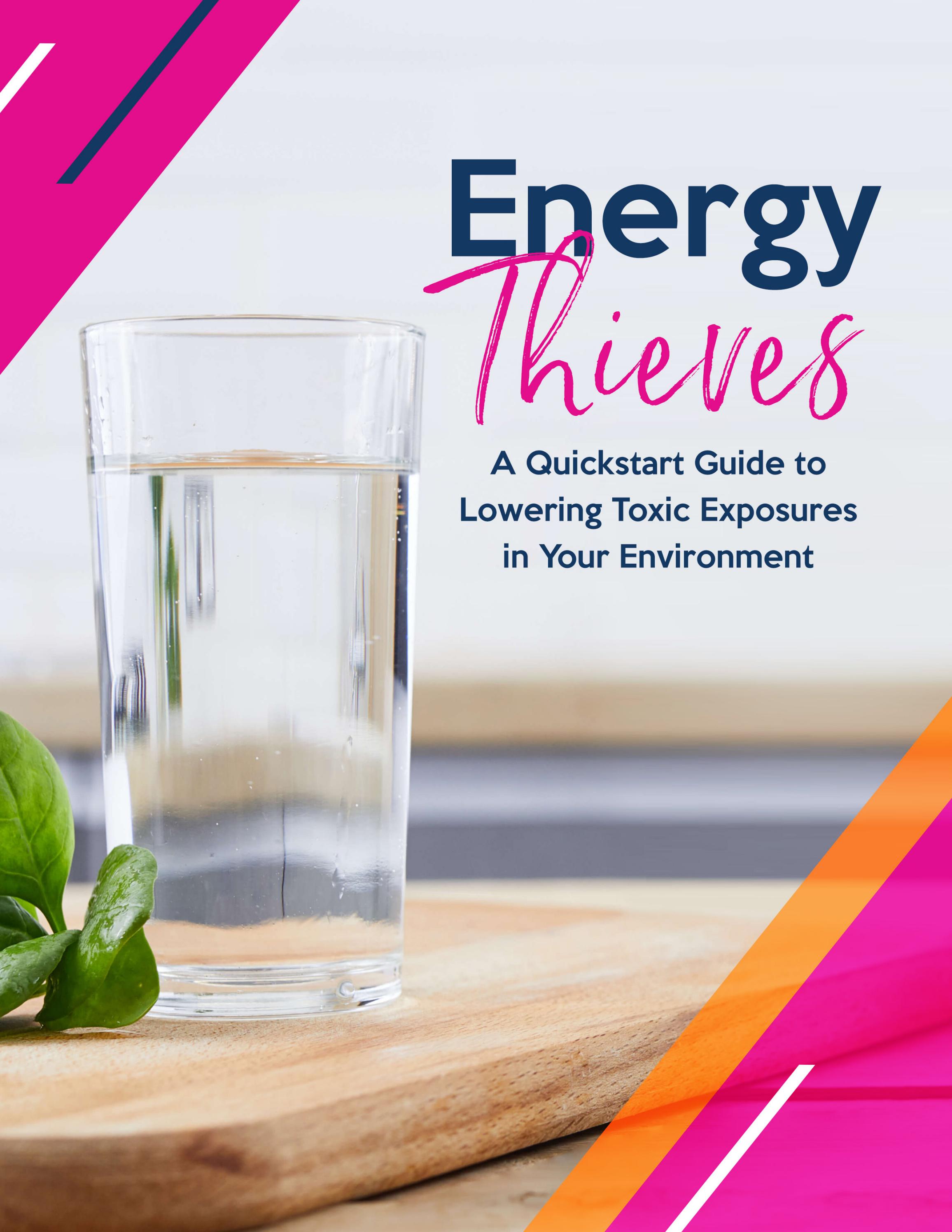 Energy Thieves: A Quickstart Guide To Lowering Toxic Exposures In Your ...