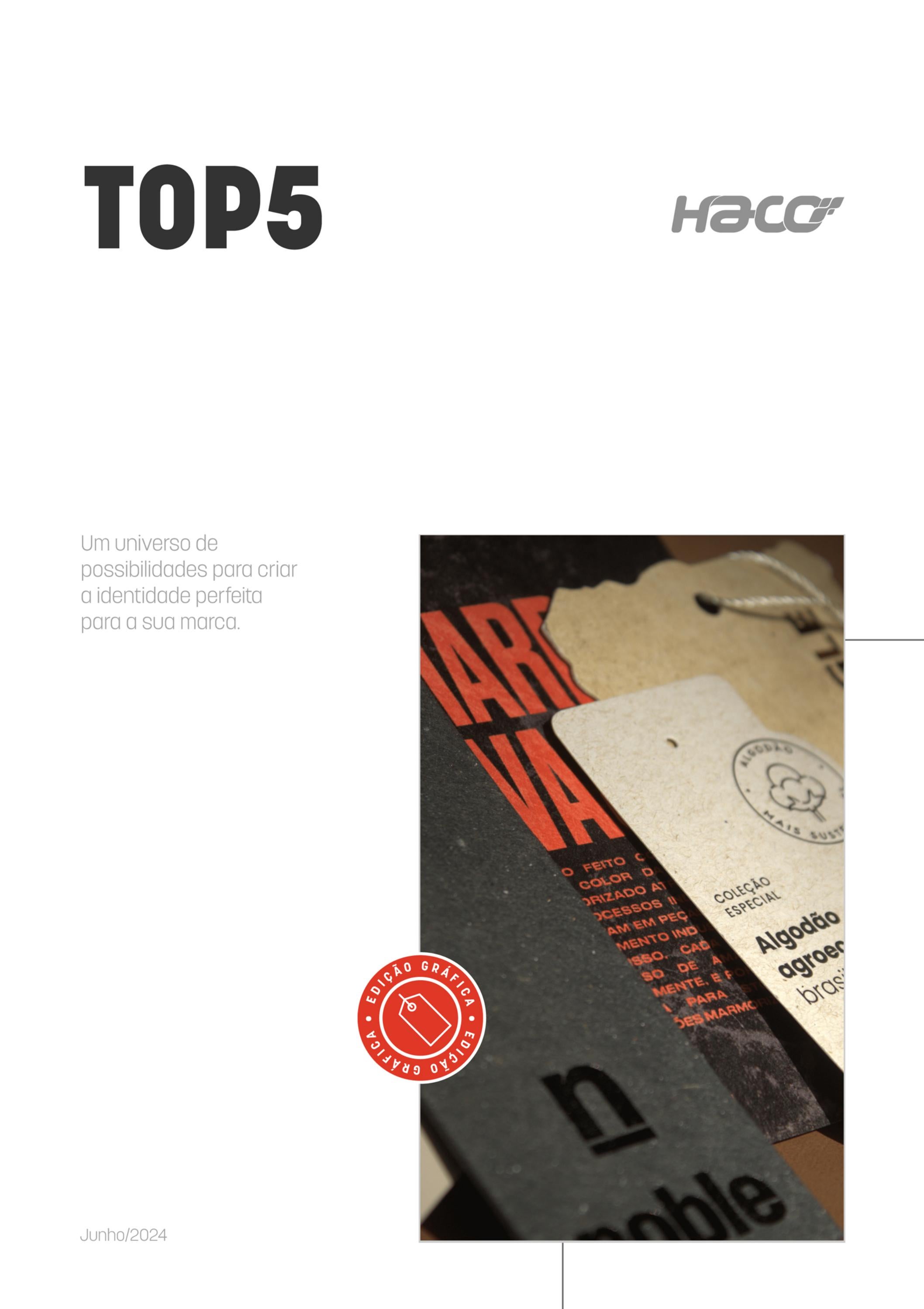 Top 5 Haco - Junho 2024 by Haco - Issuu