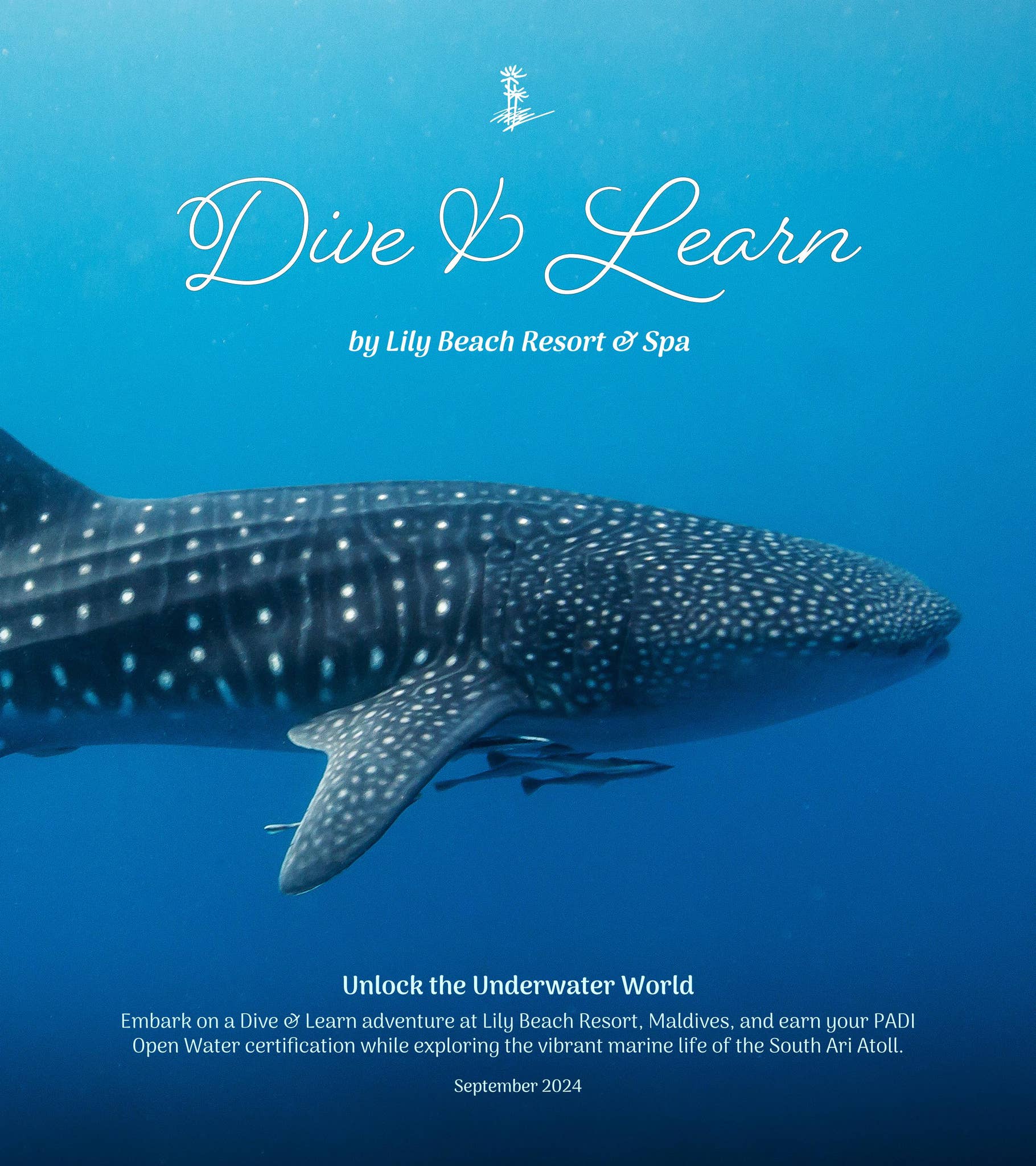 Lily Beach Dive Adventures 2024 by Lily Beach Resort & Spa - Issuu