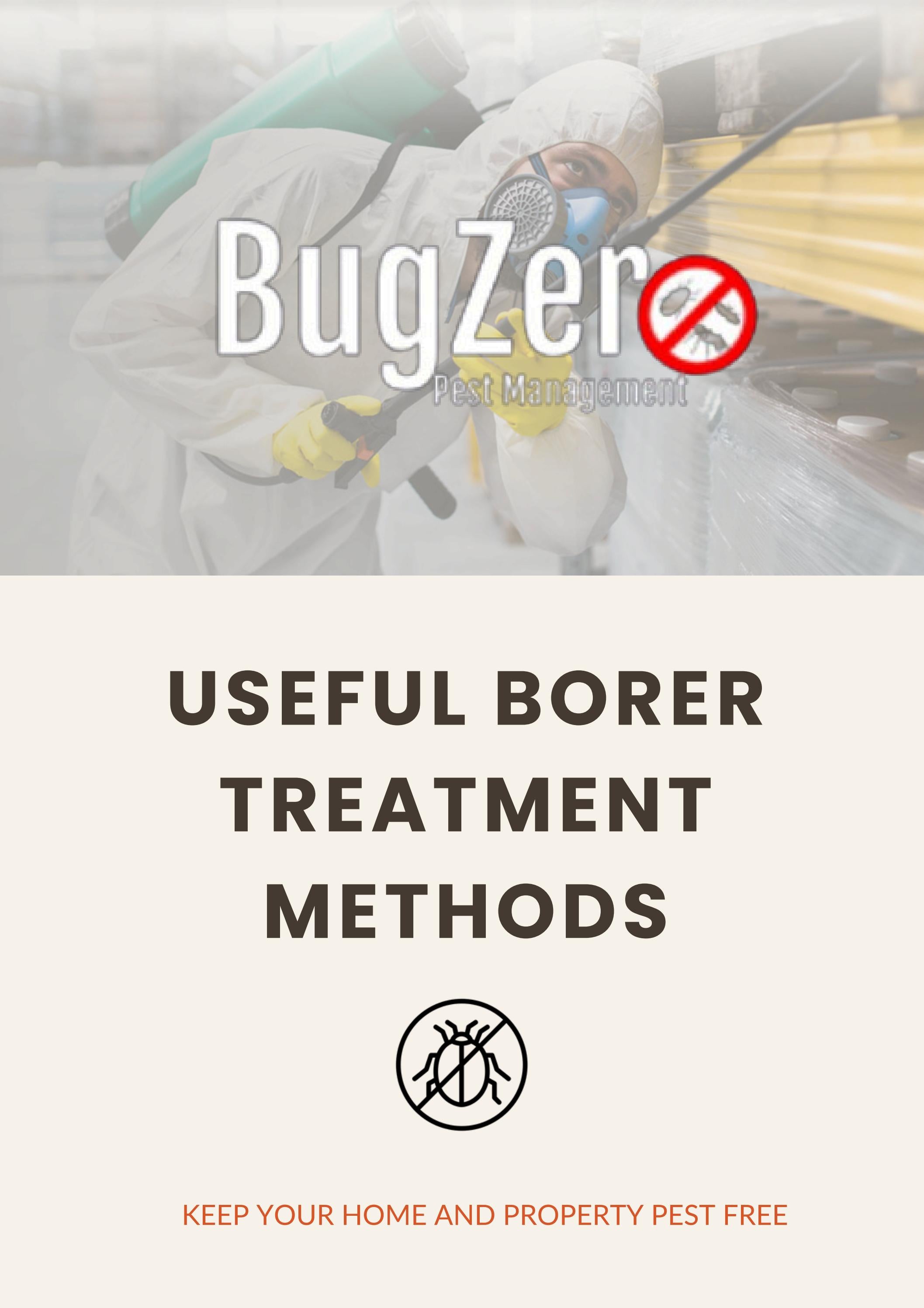 Useful Borer Treatment Methods by BugZero Pest Management - Issuu