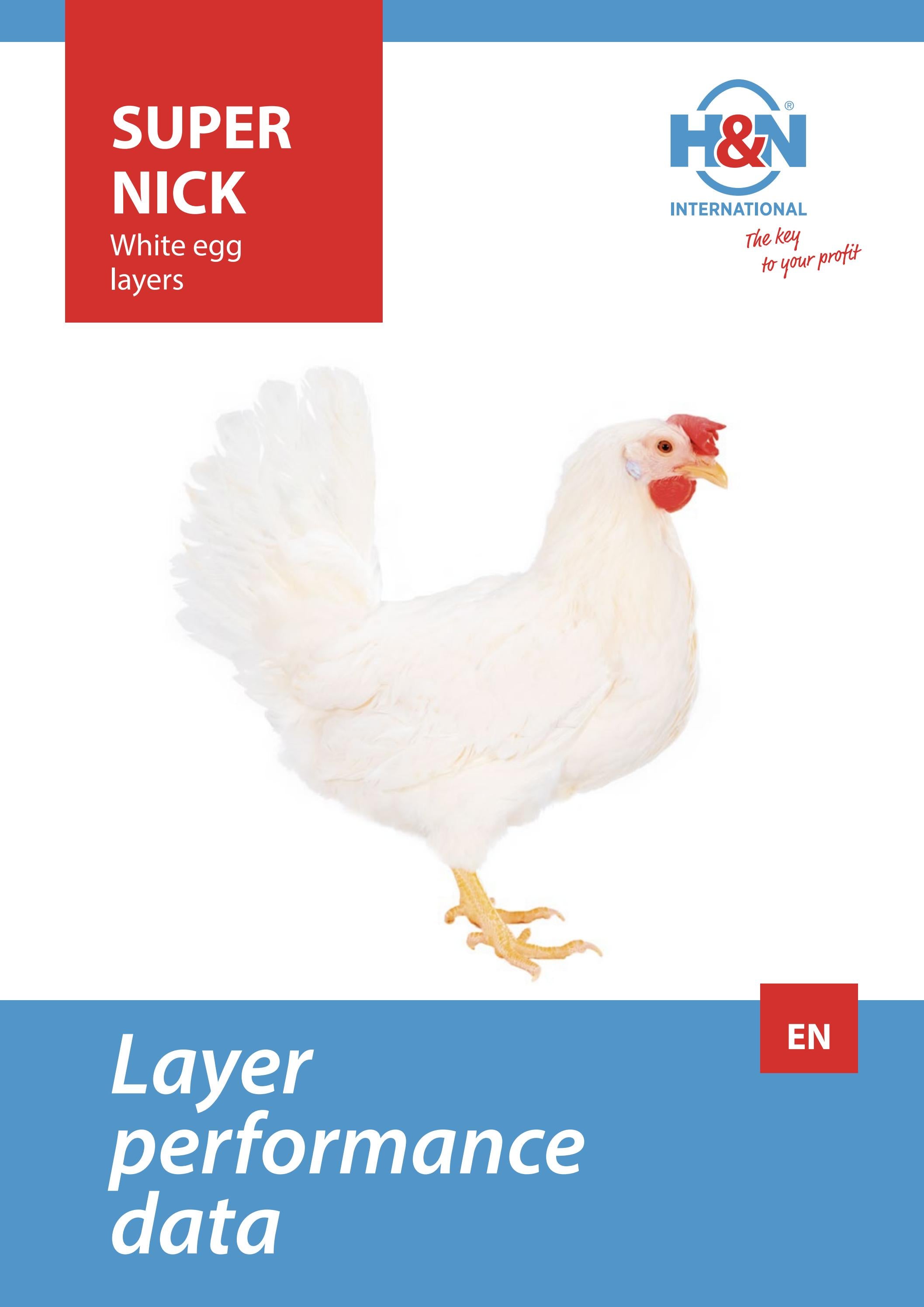 Super Nick Leaflet by HNint - Issuu