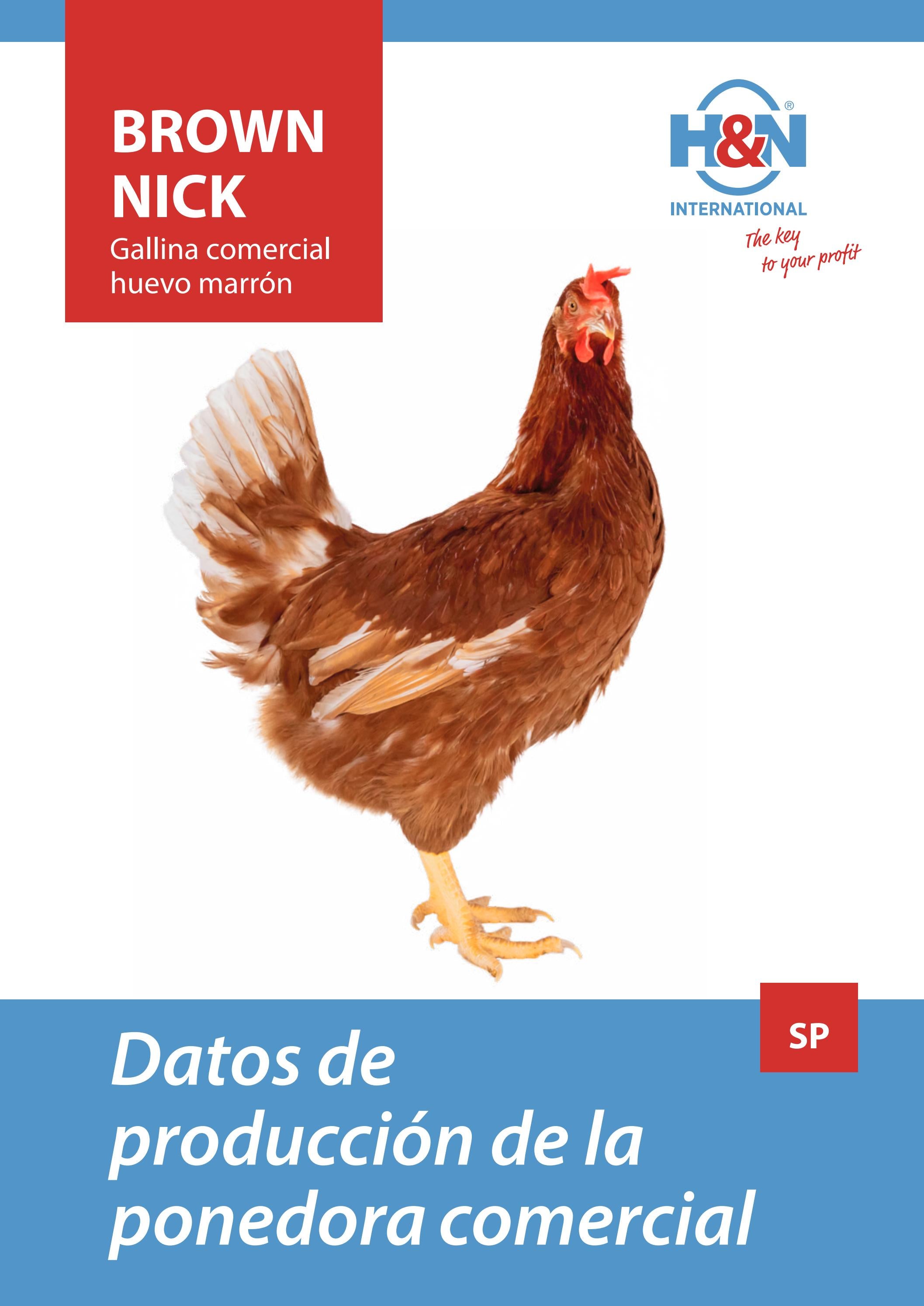 Brown Nick Es By Hnint Issuu