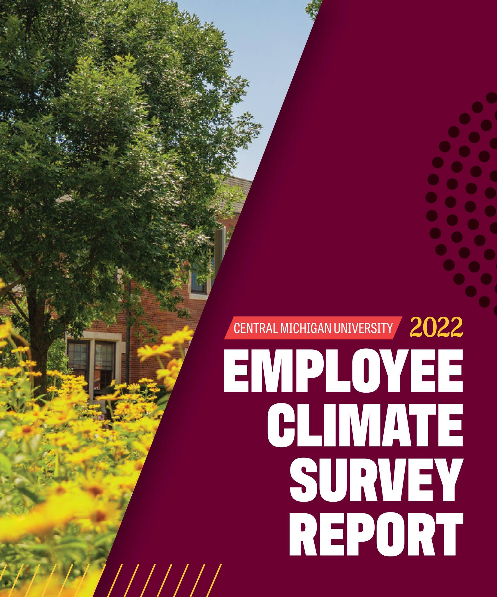 Employee Climate Survey Report by Central Michigan University - Issuu