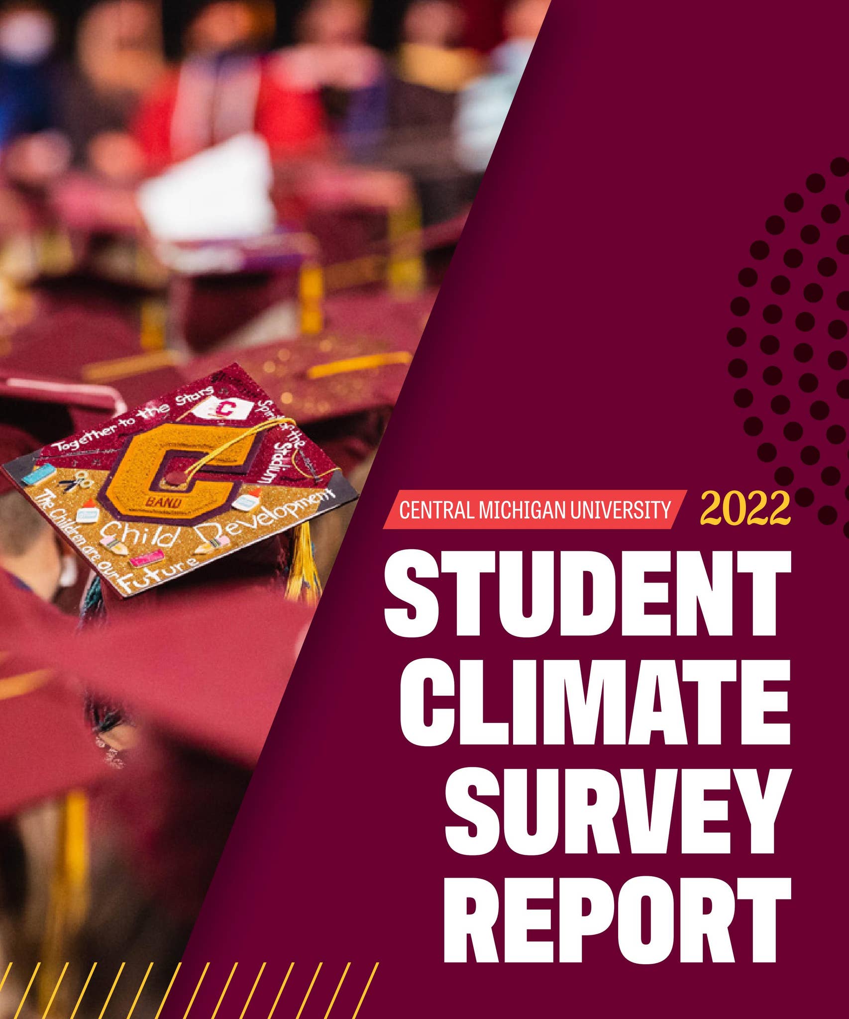 Student Climate Survey Report by Central Michigan University - Issuu