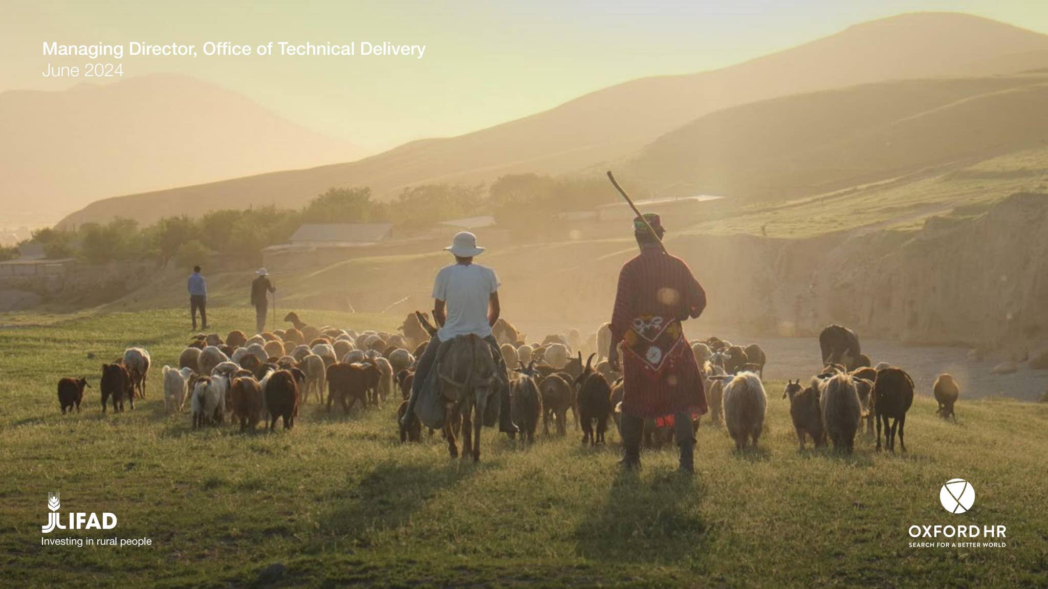 IFAD – Managing Director, Office of Technical Delivery by Oxford HR - Issuu