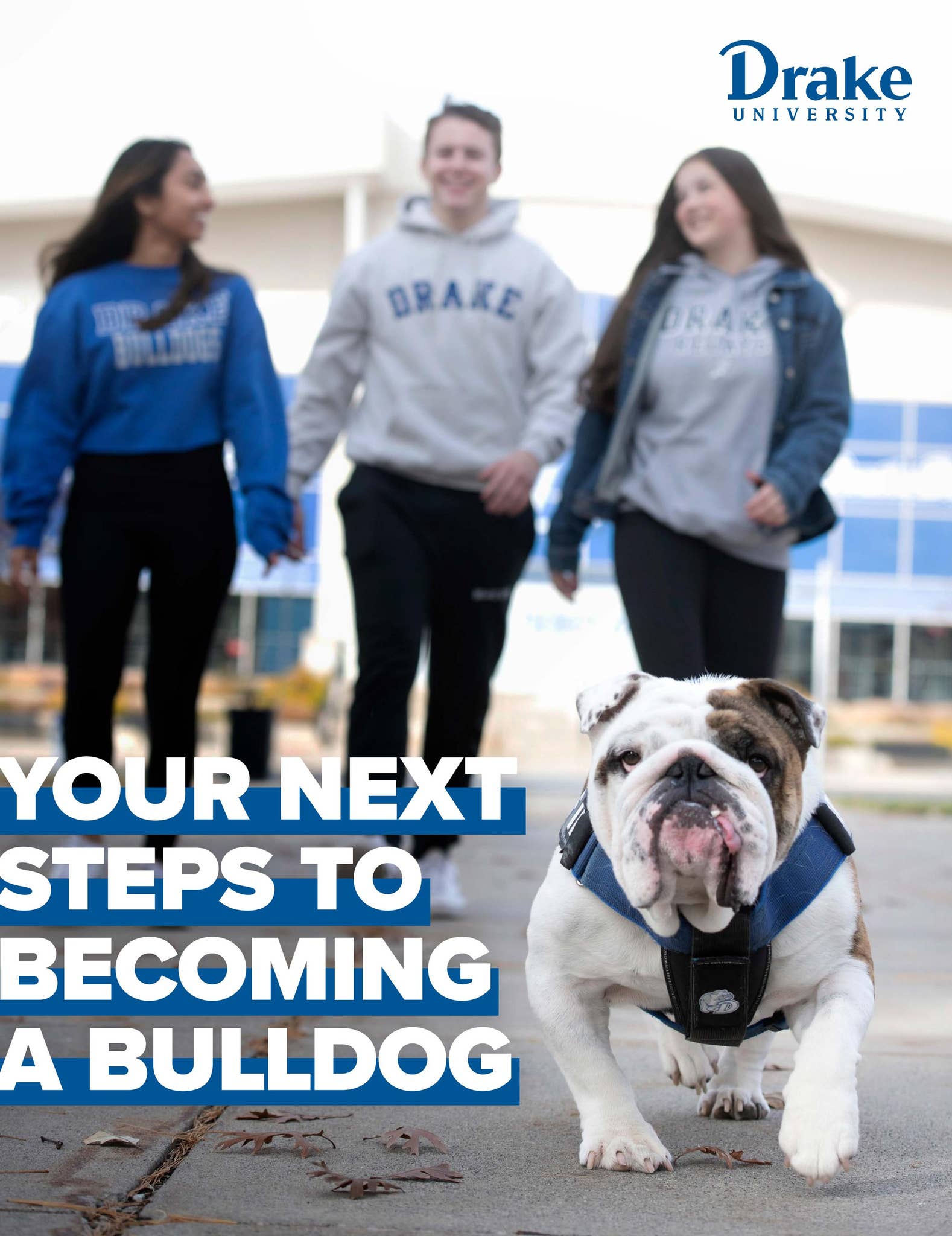 2024 Orientation Booklet by Drake University - Issuu