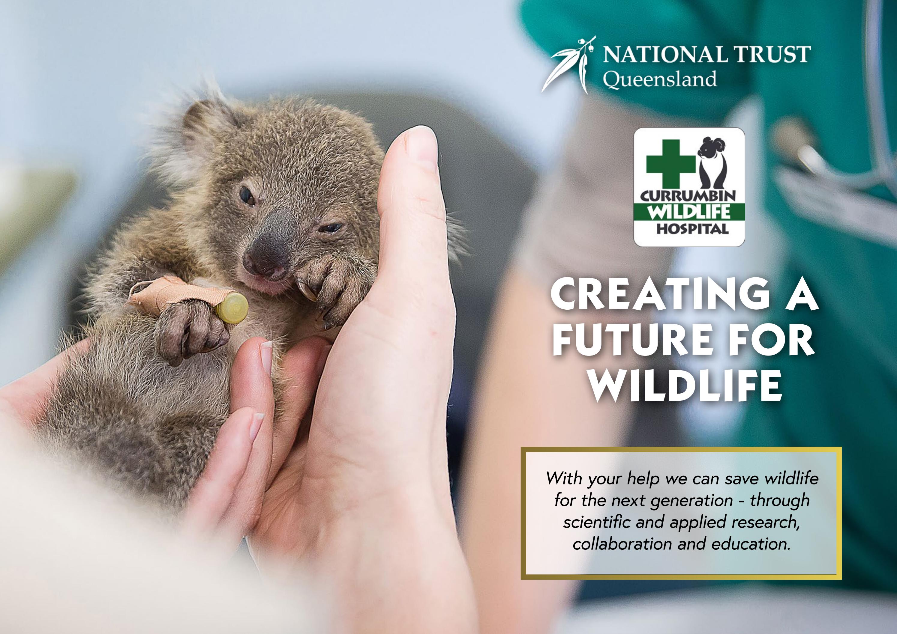 CWH_Creating a Future for Wildlife_Brochure by National Trust of ...