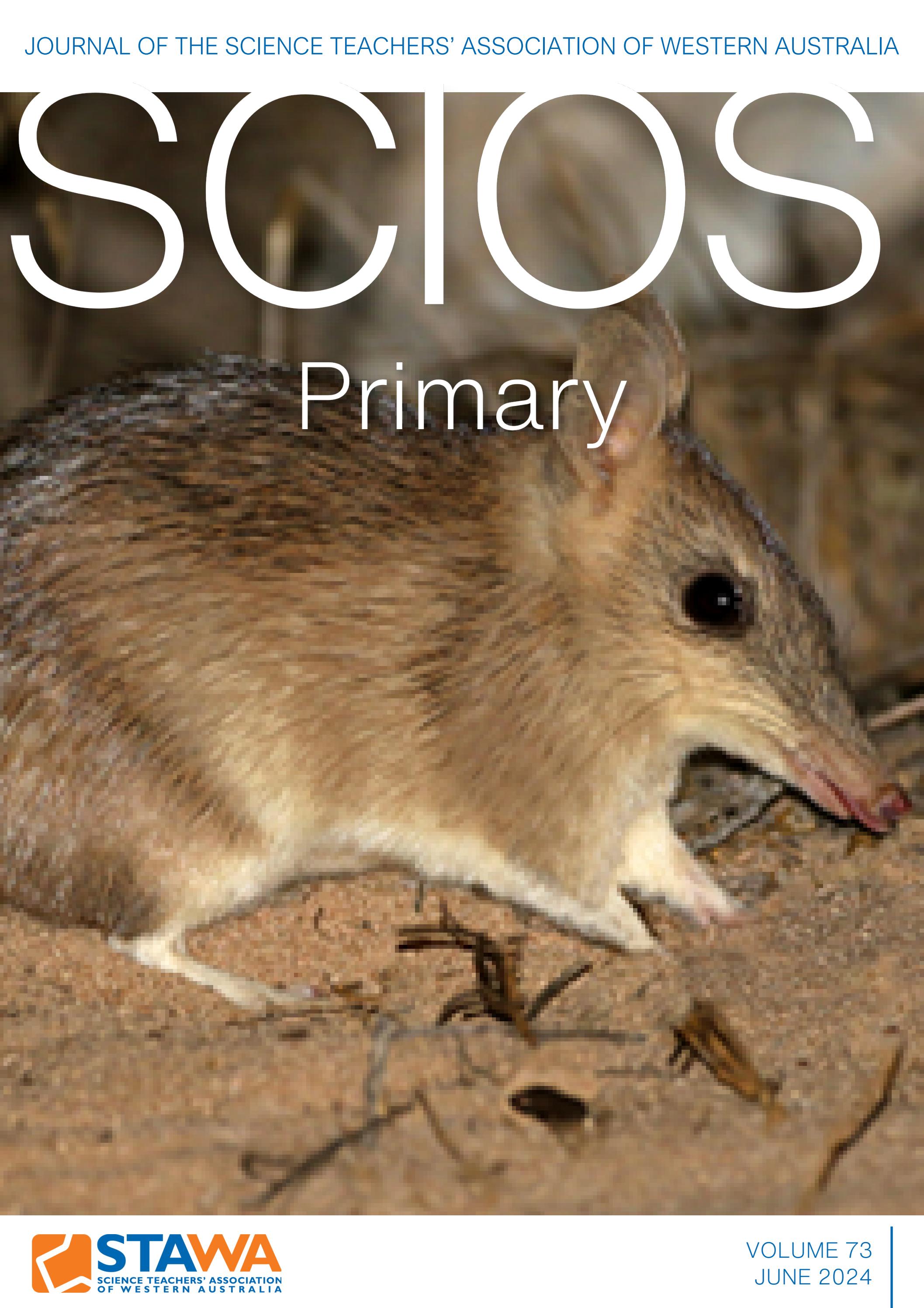 SCIOS Primary - June 2024 by STAWA - Issuu