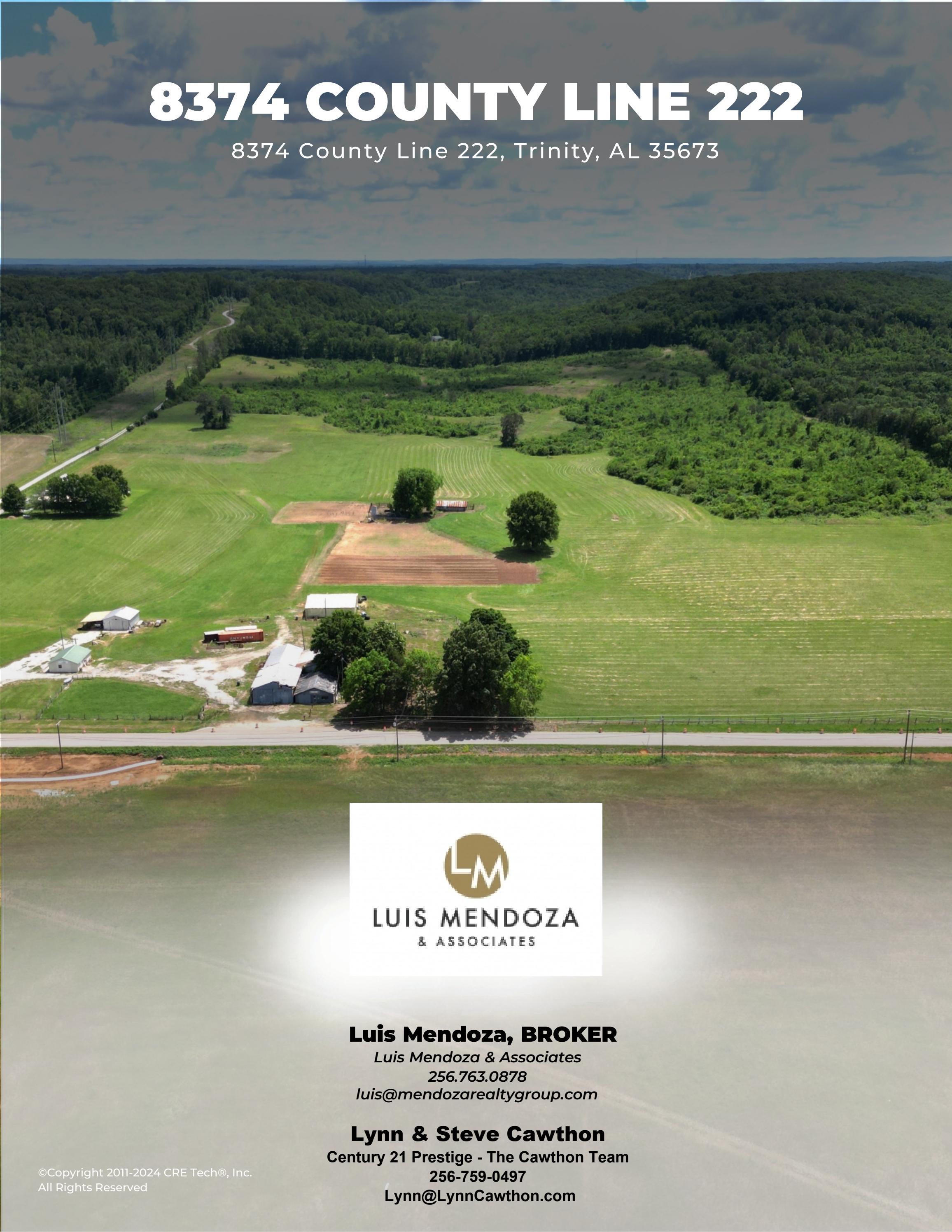 8374 County Line 222, Trinity AL 35673 by Mendoza International Group ...