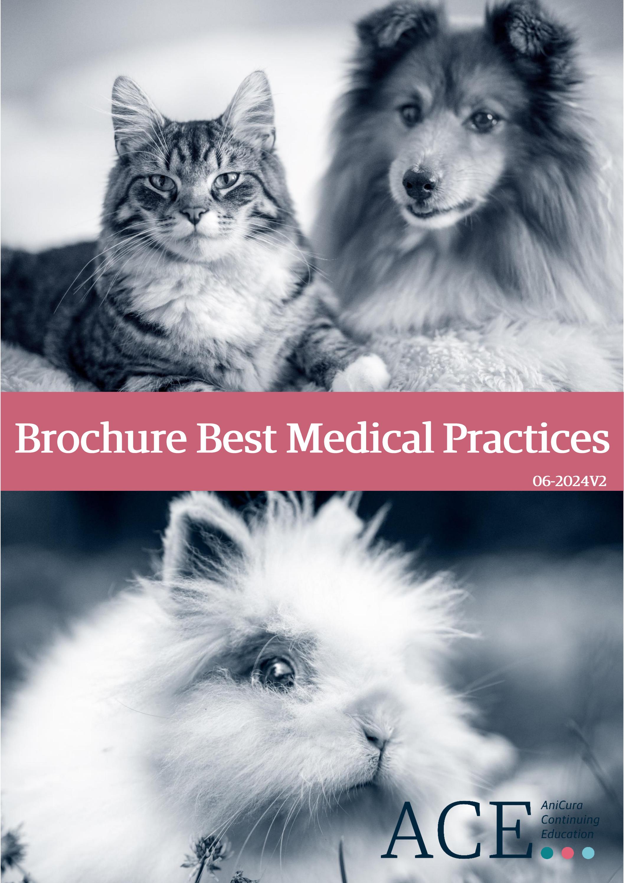 Brochure Best Medical Practices 06-2024V2 by anicura - Issuu