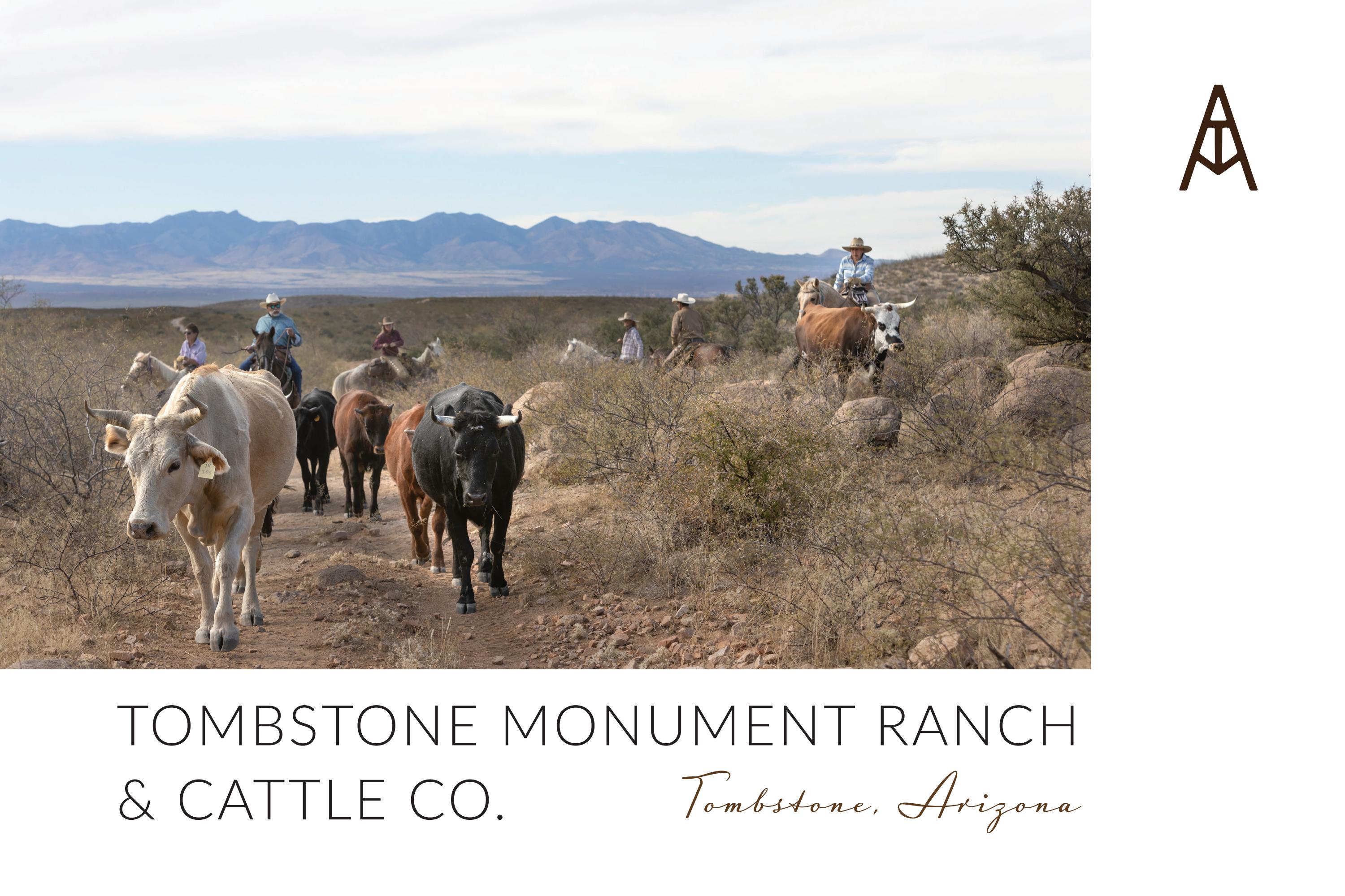 Tombstone Monument Ranch & Cattle Co. by ranchpreservation - Issuu