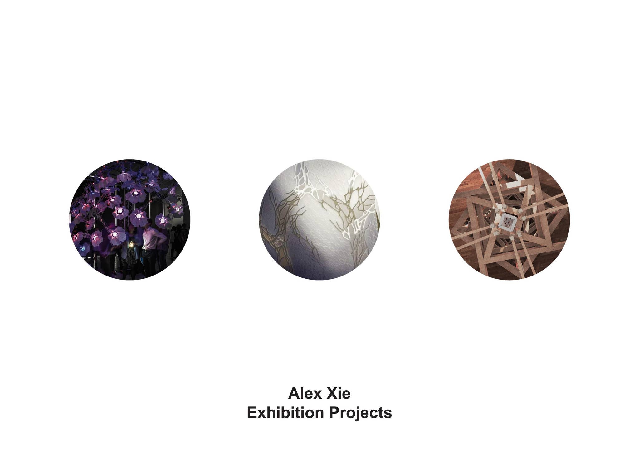 Exhibition Projects - Alex Xie by Alexander X - Issuu