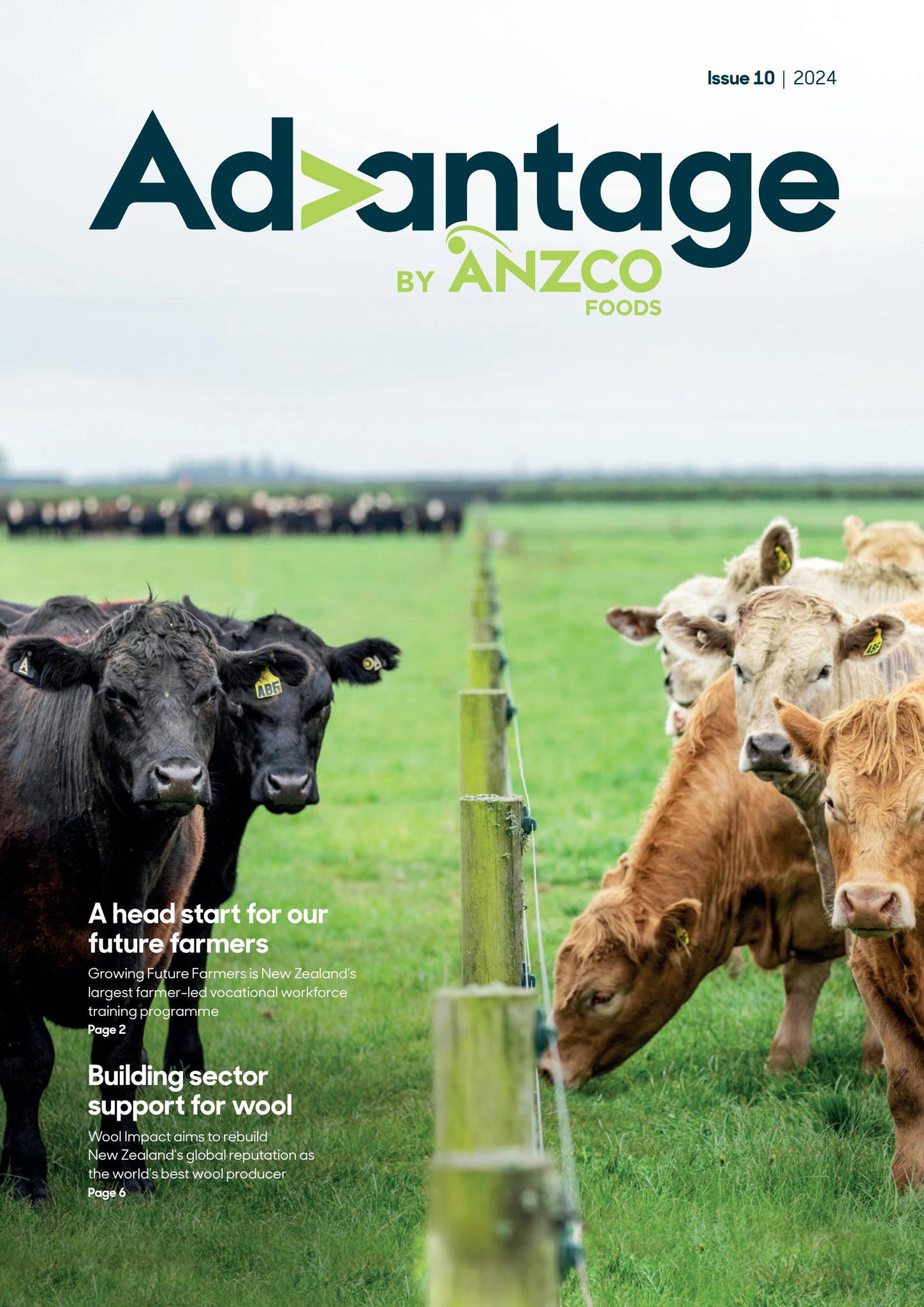 Advantage Magazine - Issue 10, June 2024 by ANZCO_Foods - Issuu