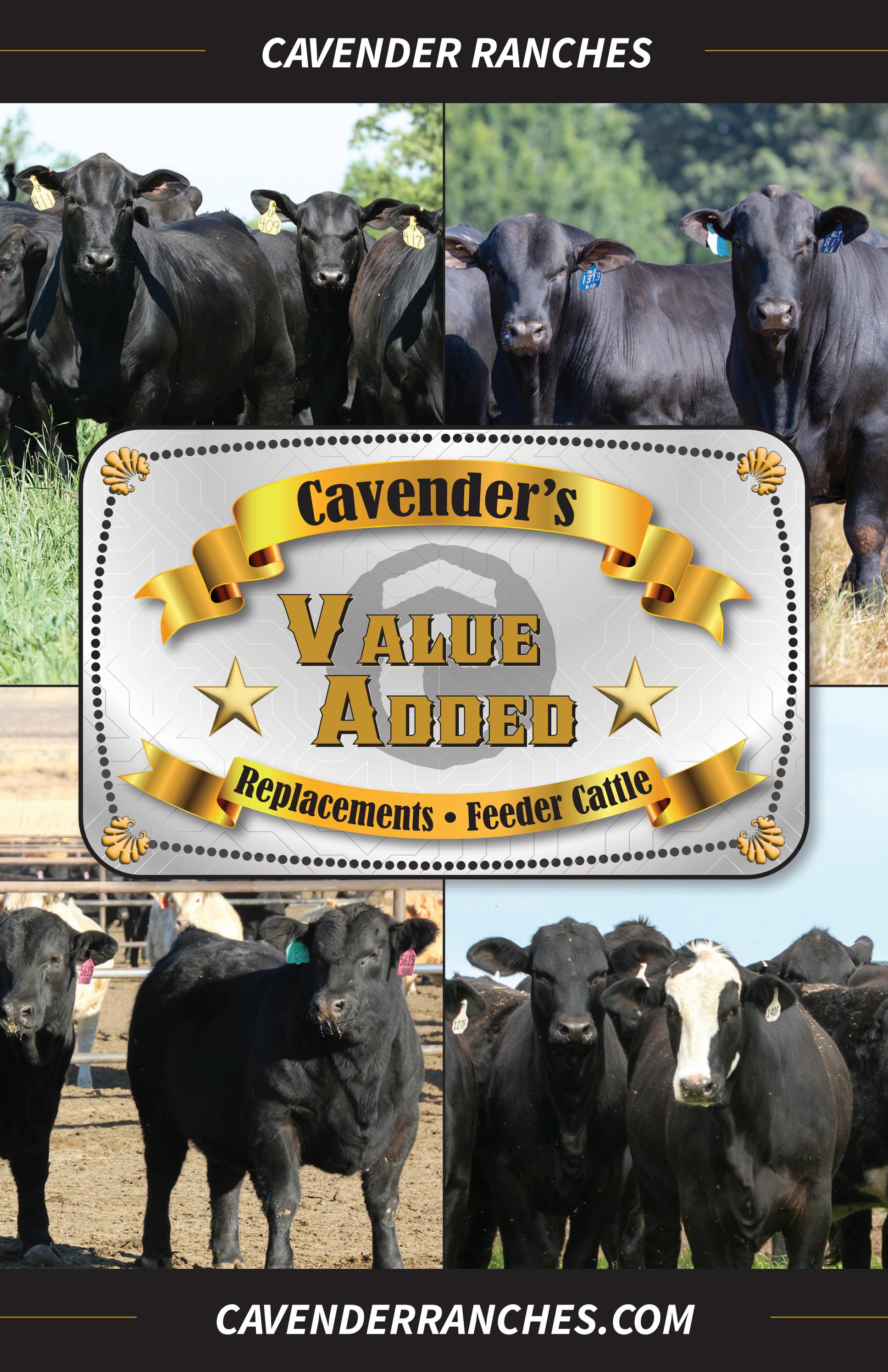 Cavender Ranches Value Added Program by Cavender Ranches - Issuu