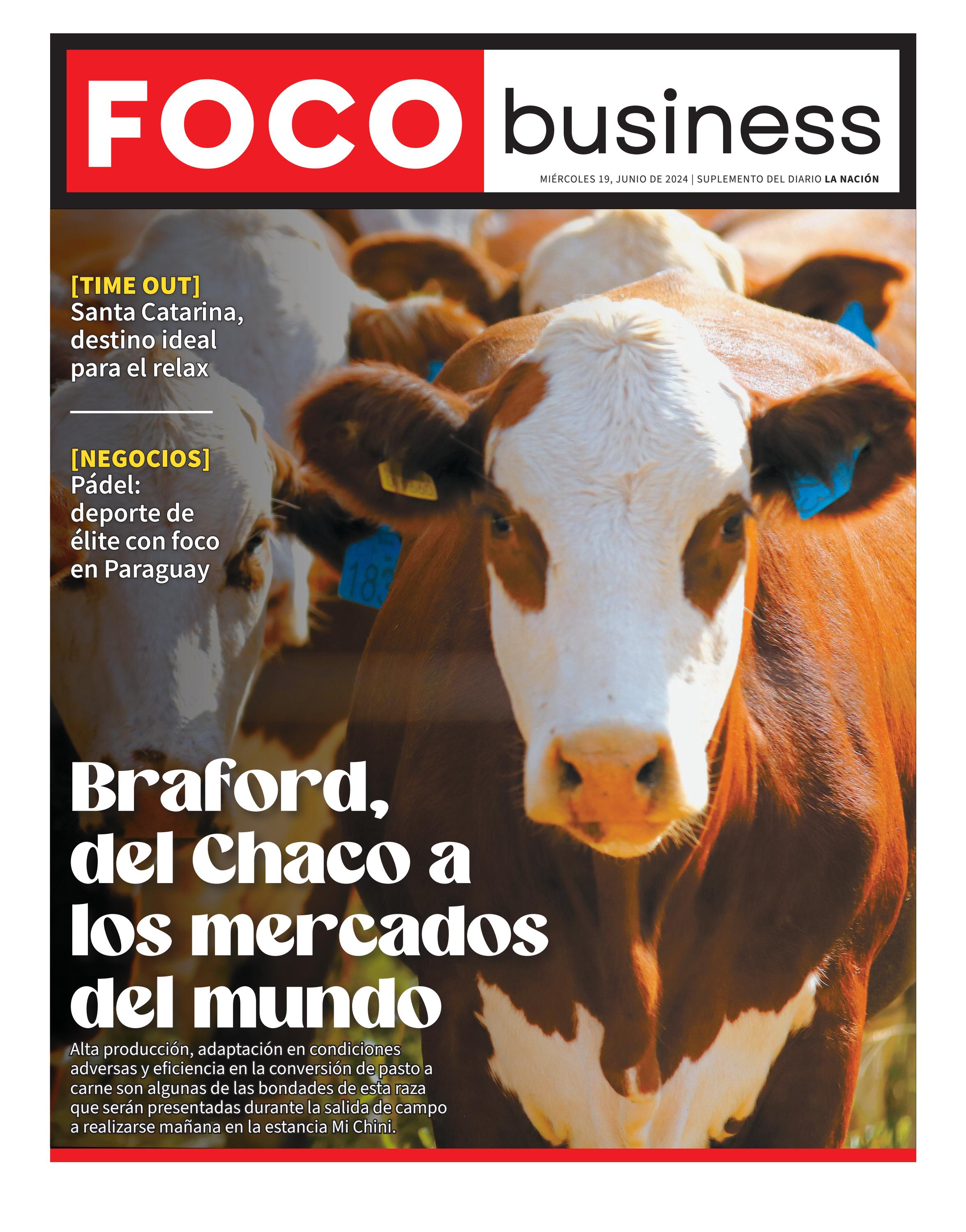 SUPLEMENTO - FOCO BUSINESS - 10.562 by La Nación - Issuu