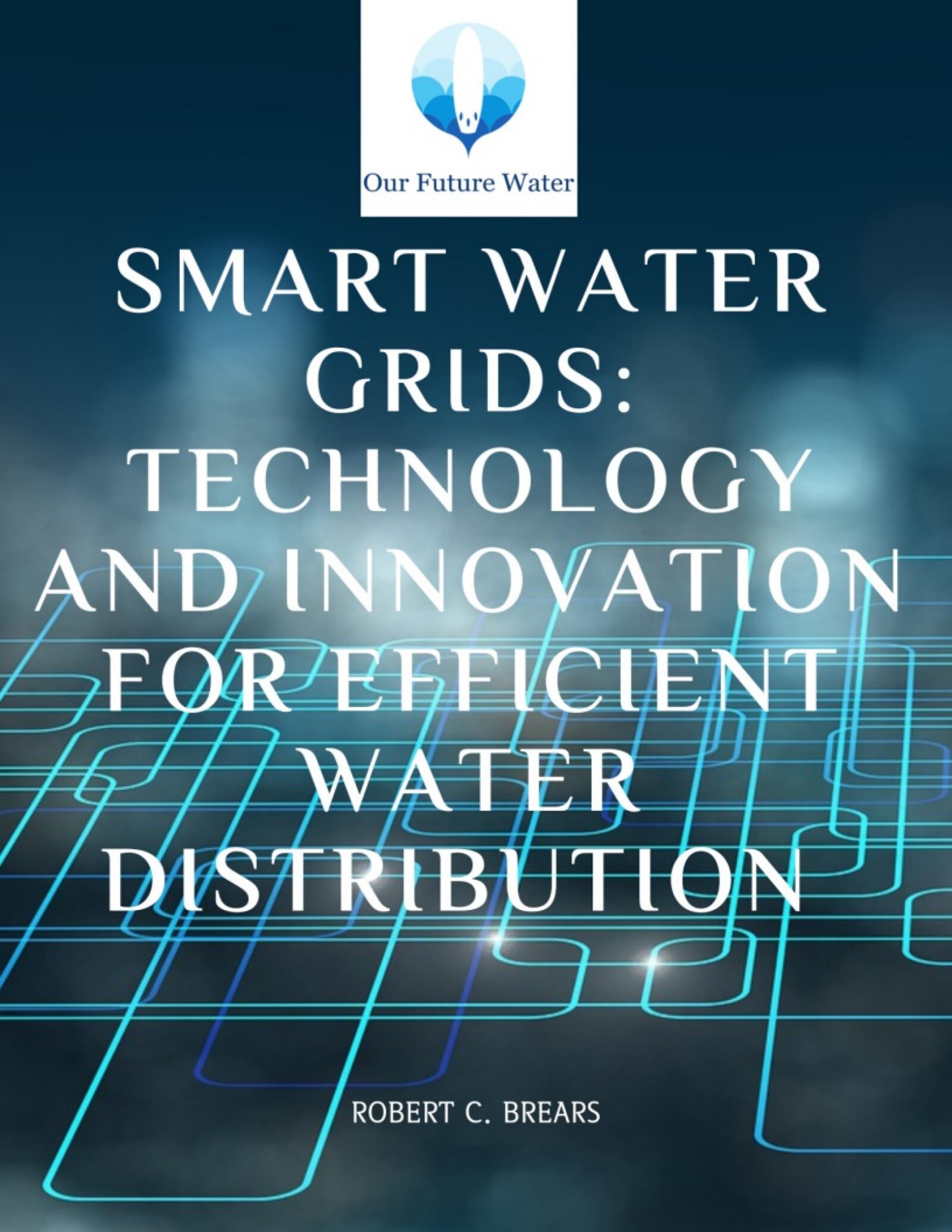 Smart Water Grids: Technology and Innovation for Efficient Water ...