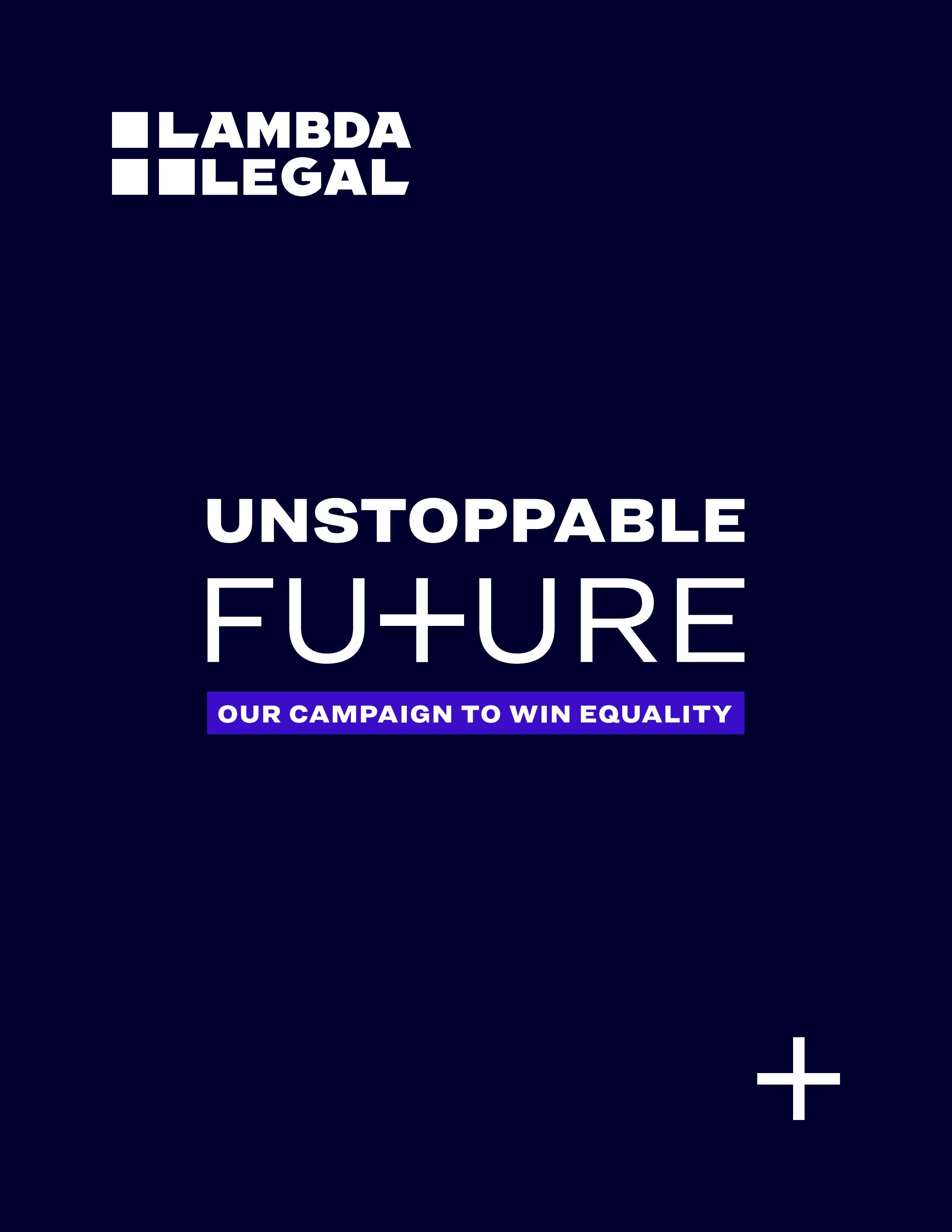 Comprehensive Campaign by Lambda Legal - Issuu
