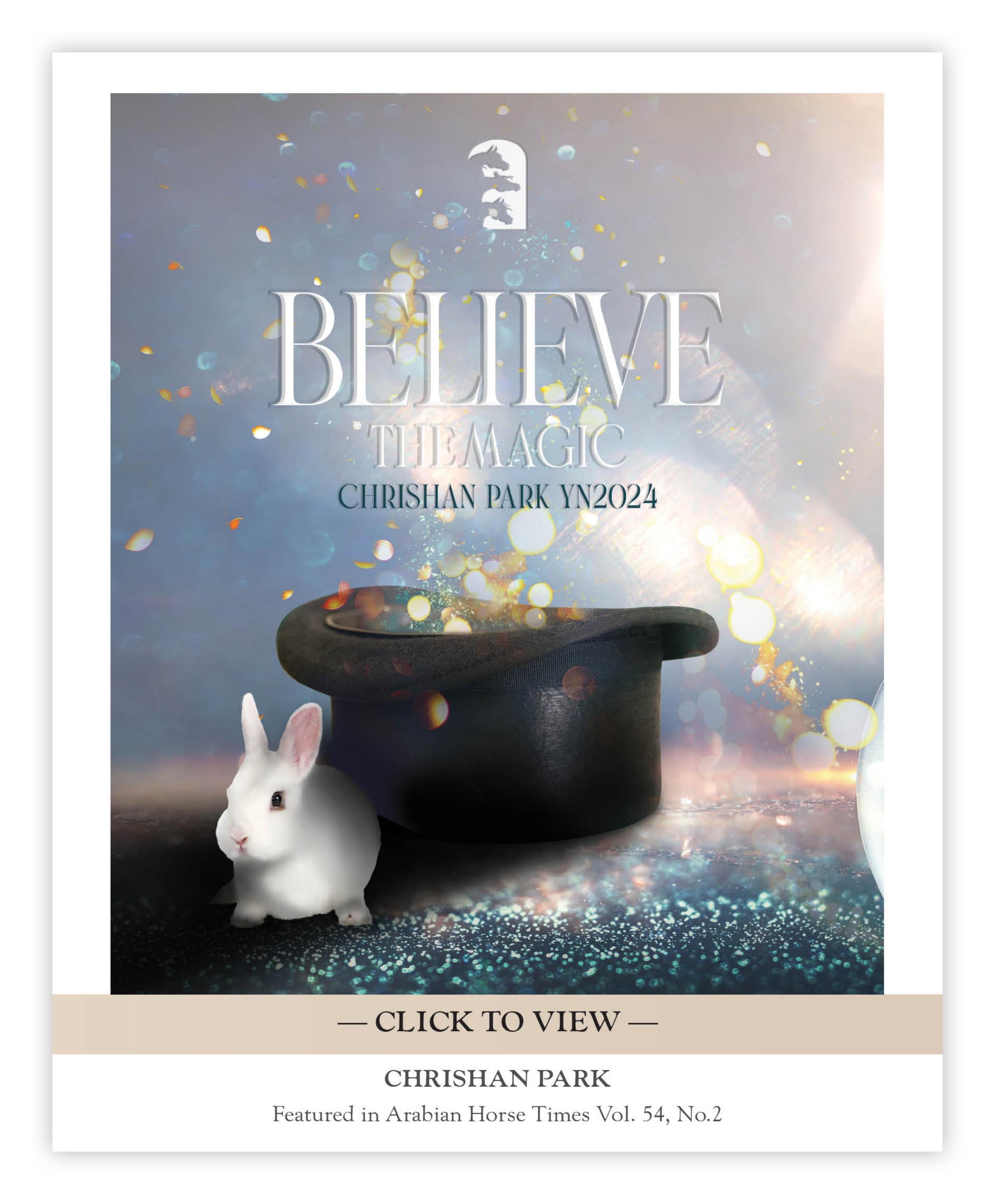 ChriShan Park Featured In AHT Vol. 54, No. 2 by Arabian Horse Times - Issuu